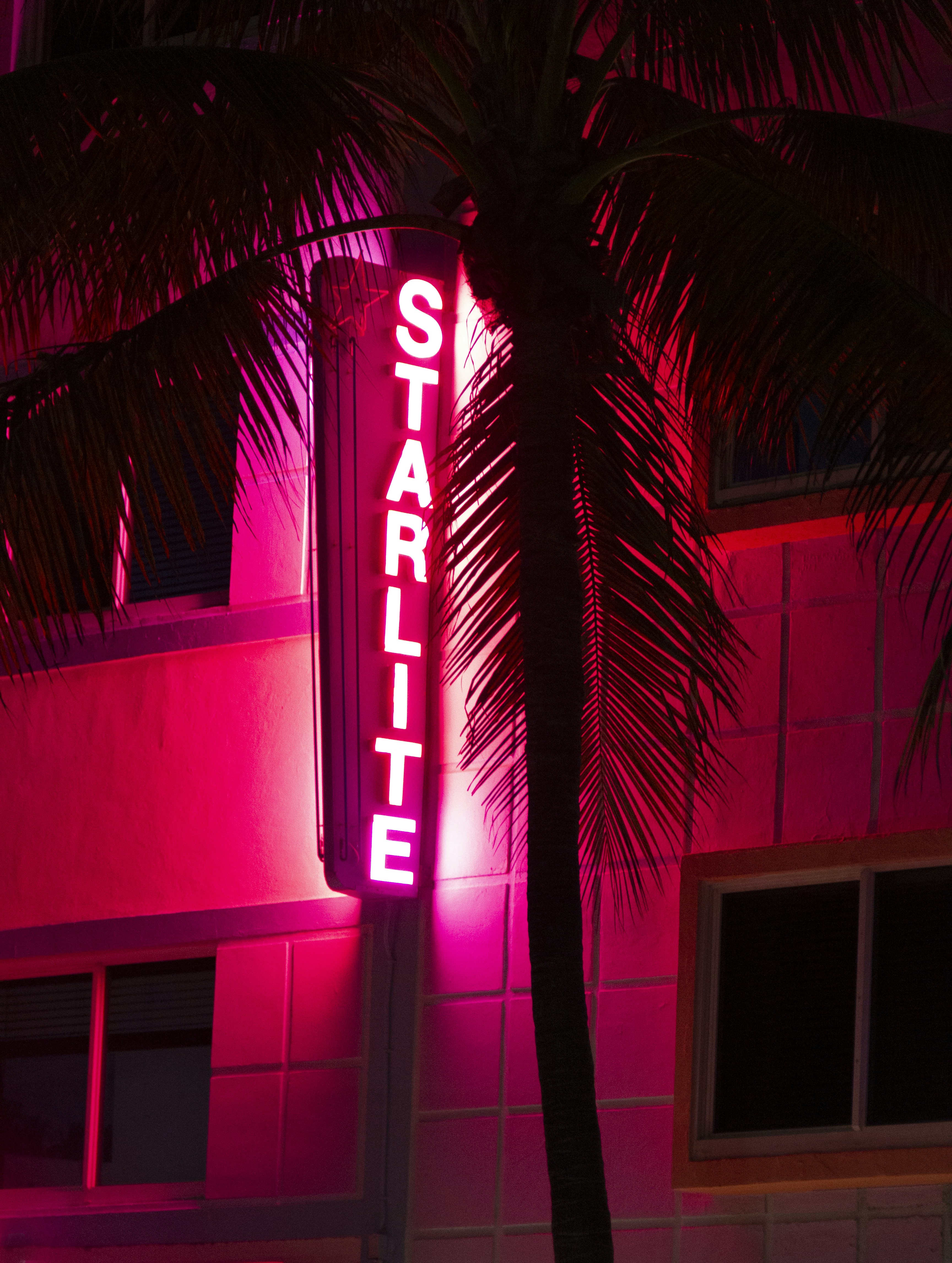Vibrant neon sign reading 'STARLITE' illuminated against a night backdrop, framed by palm leaves and a colorful building facade.