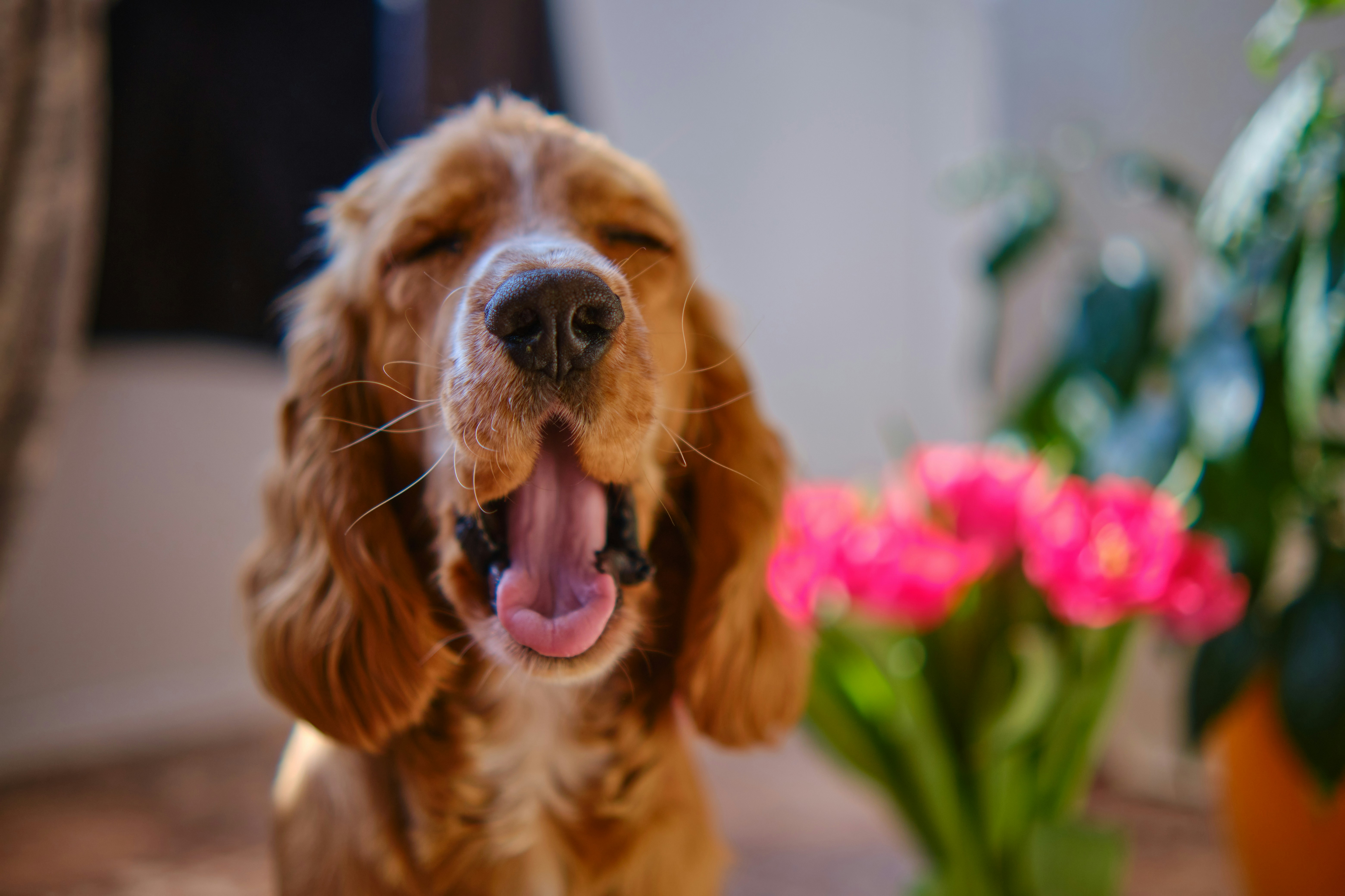 Photo by Andrey Che with Fujifilm X-T30