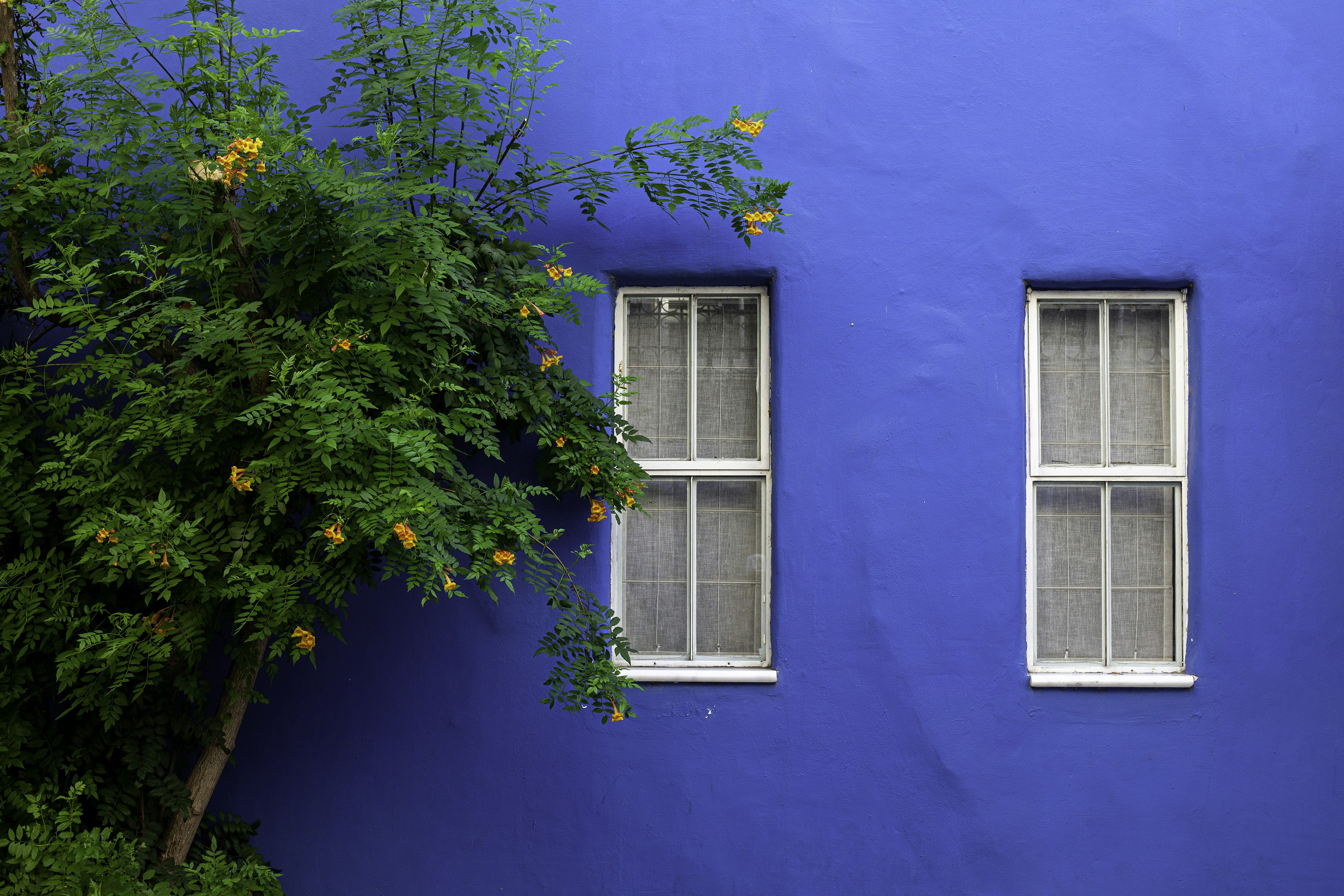 Cobalt Blue Pictures | Download Free Images on Unsplash