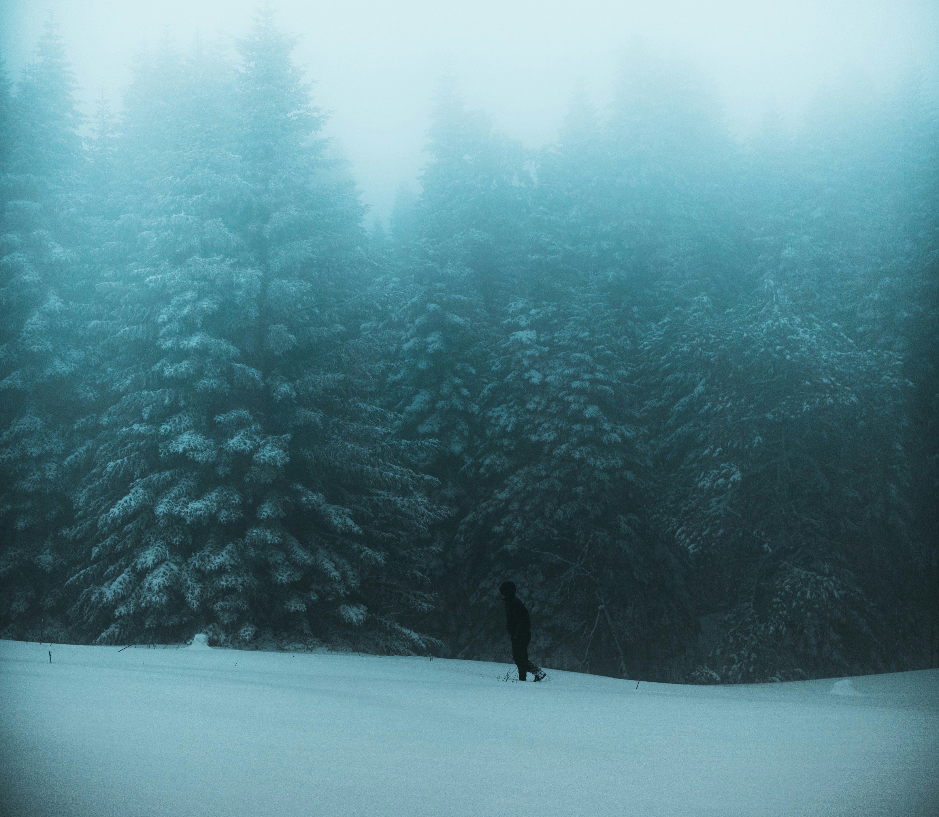 Lone figure walking through a snow-covered forest shrouded in mist.