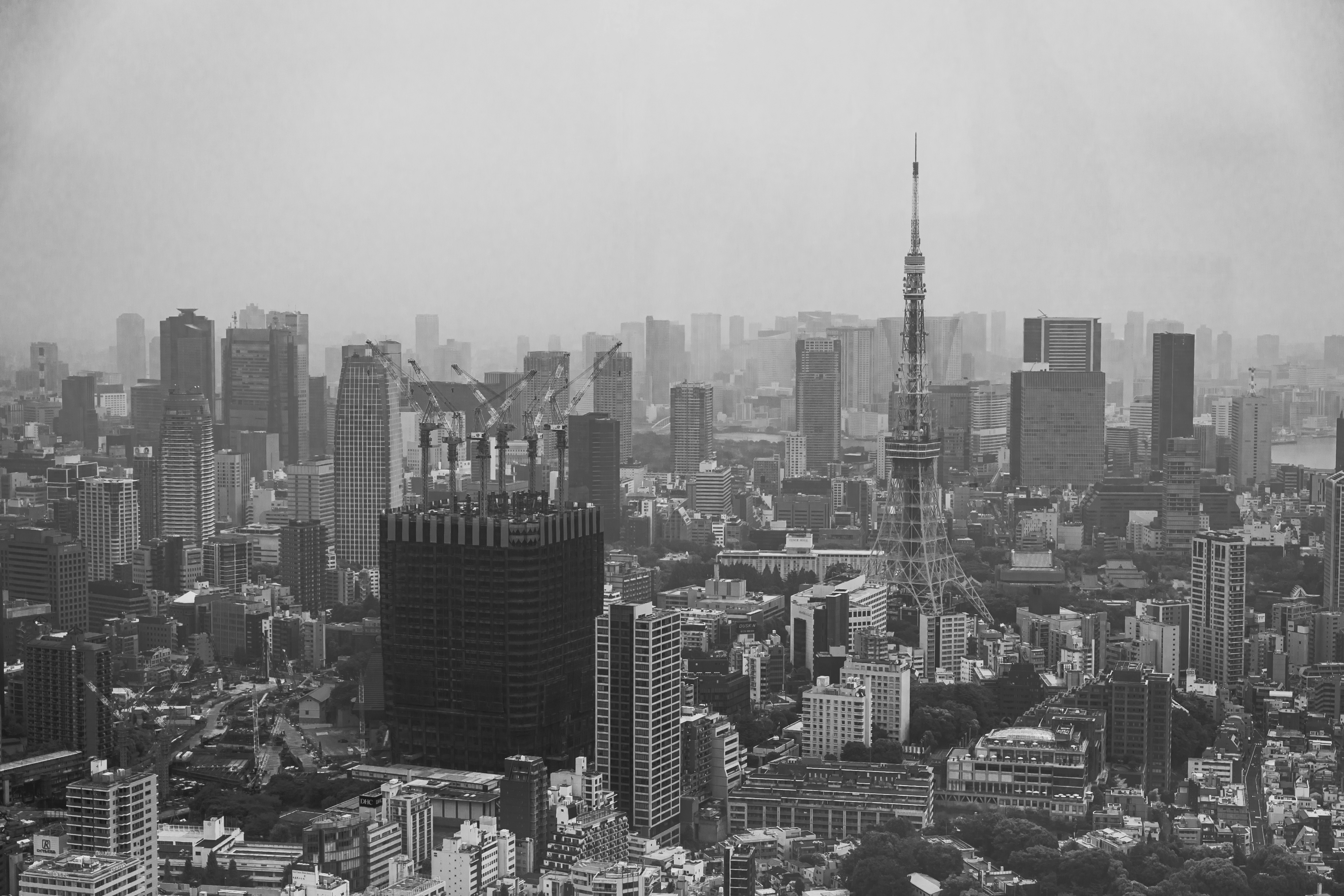 A panoramic view of a sprawling city skyline, featuring the iconic Tokyo Tower amidst a sea of high-rise buildings, captured in striking black and white.