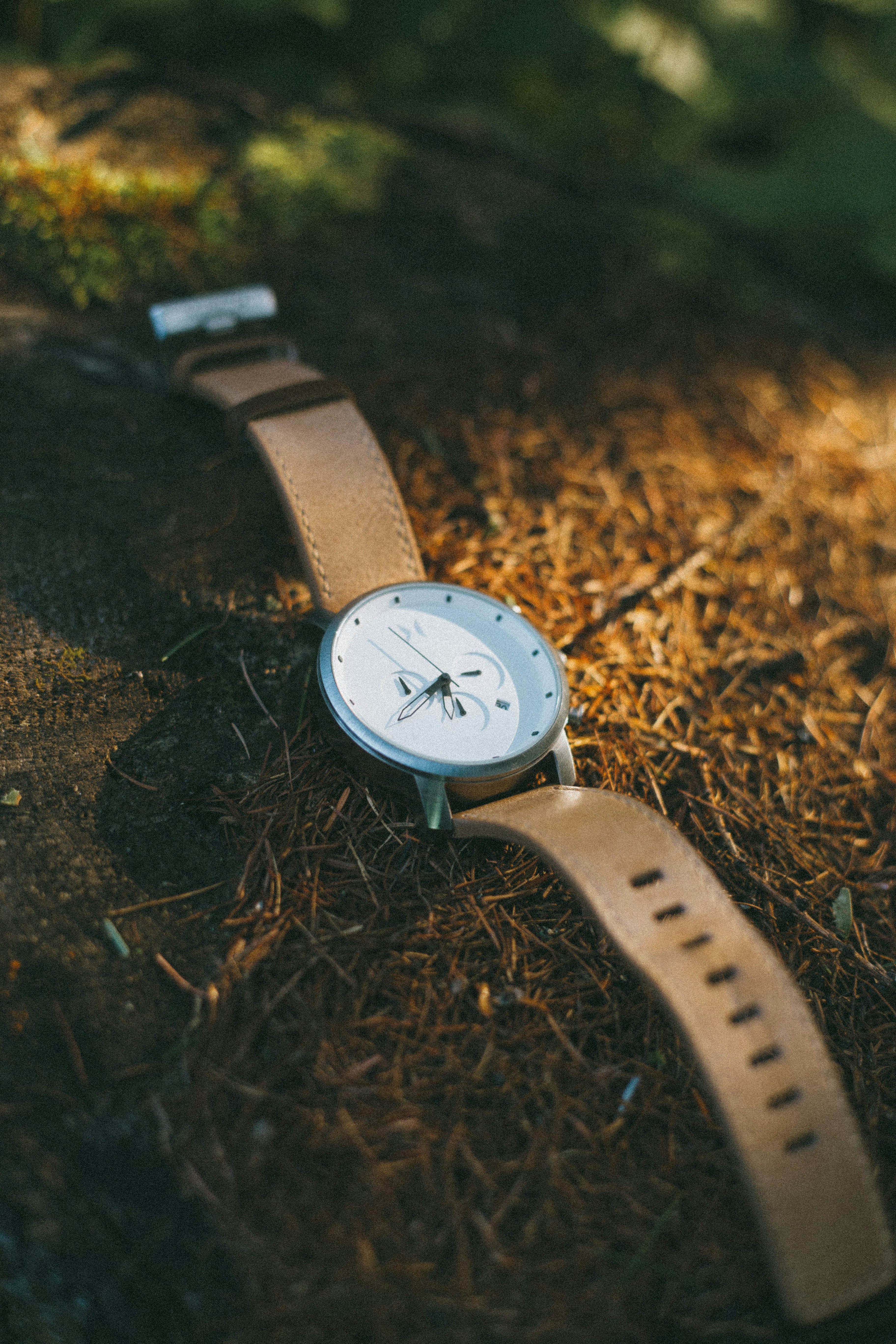 Amber Hour: a minimalist watch rests on a pine-needle forest floor