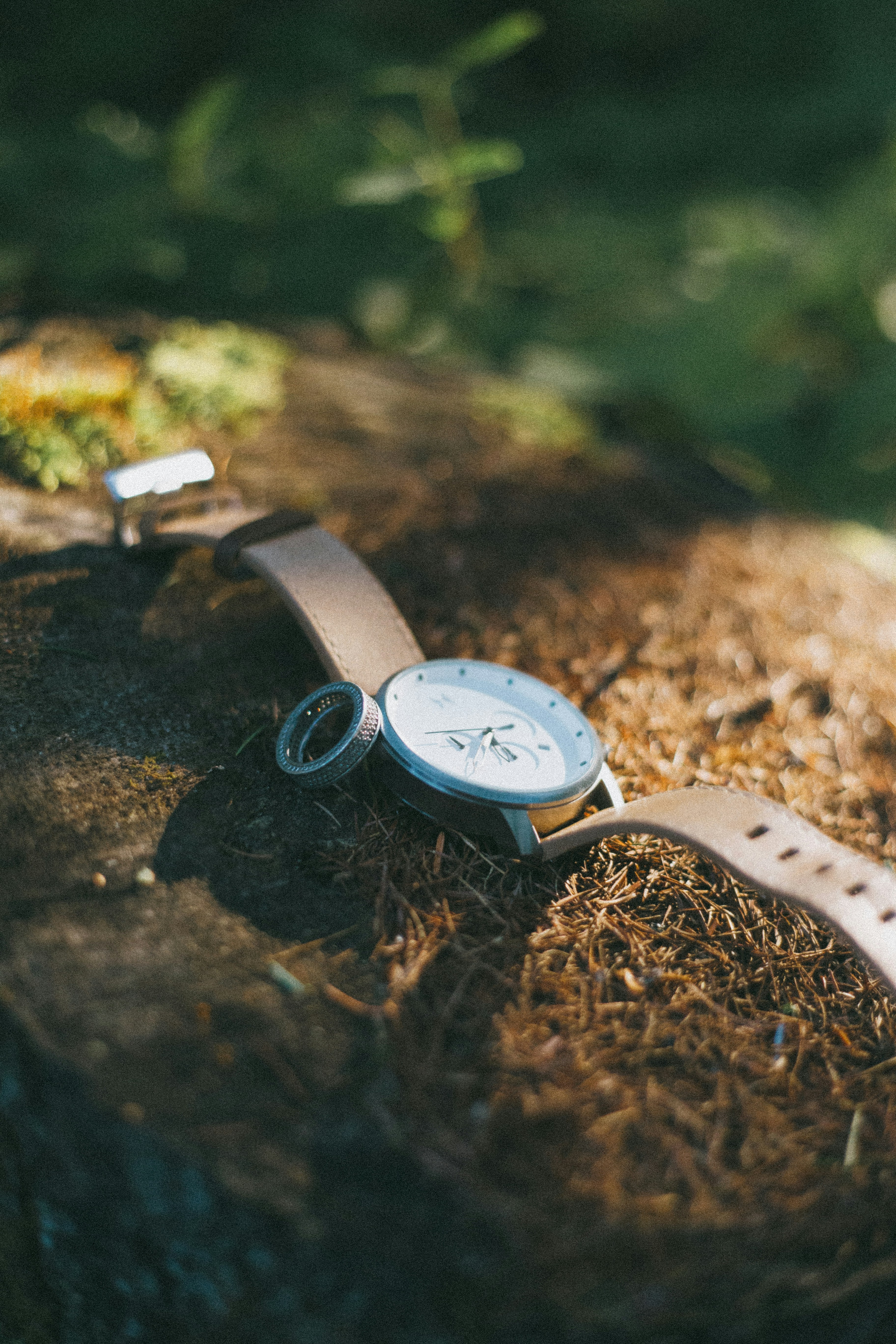 Timepiece in the Moss: A Moment of Quiet Outdoors
