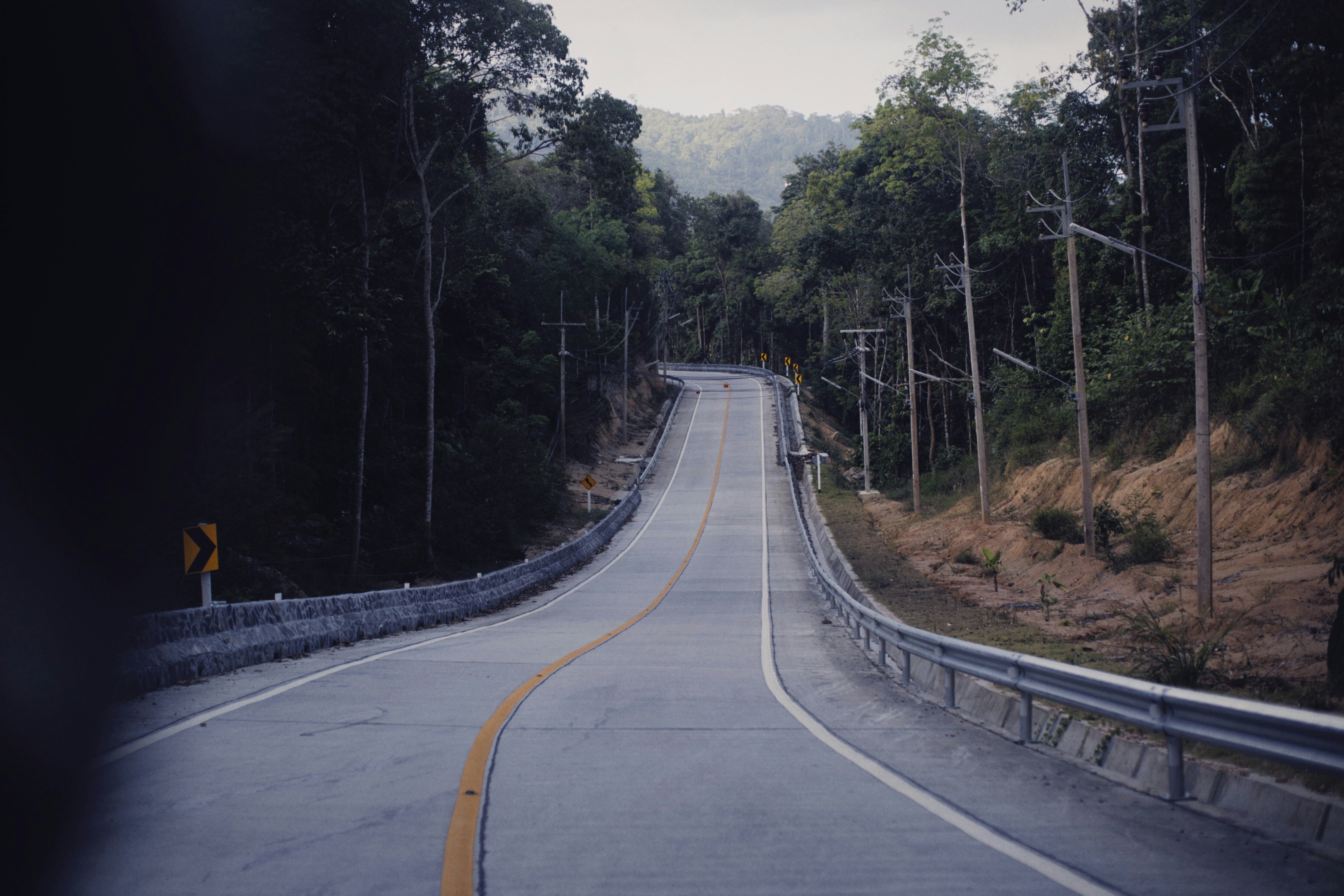 gray concrete road between green trees during daytime