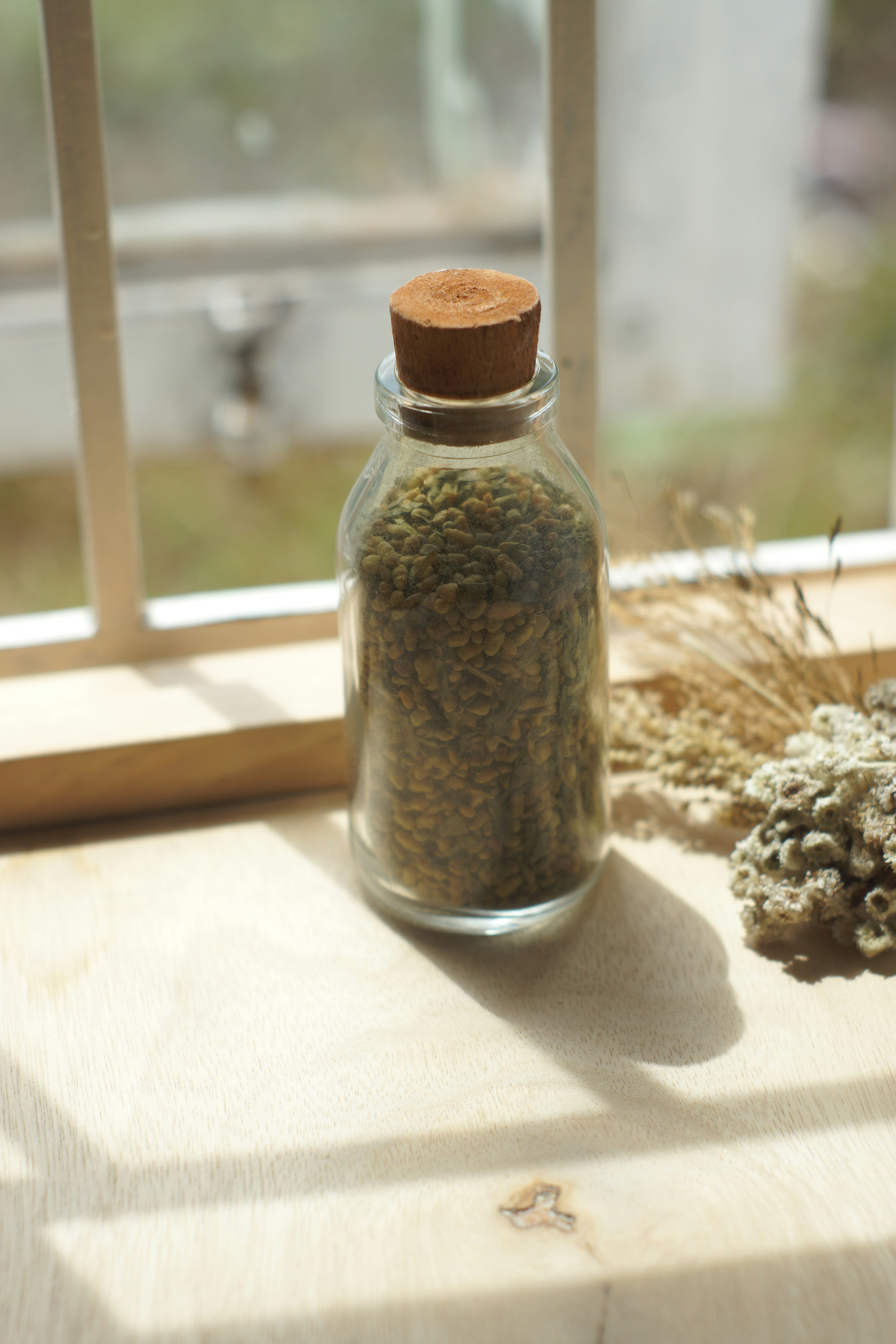 Sunlit Jar of Coffee Beans on a Quiet Window Sill