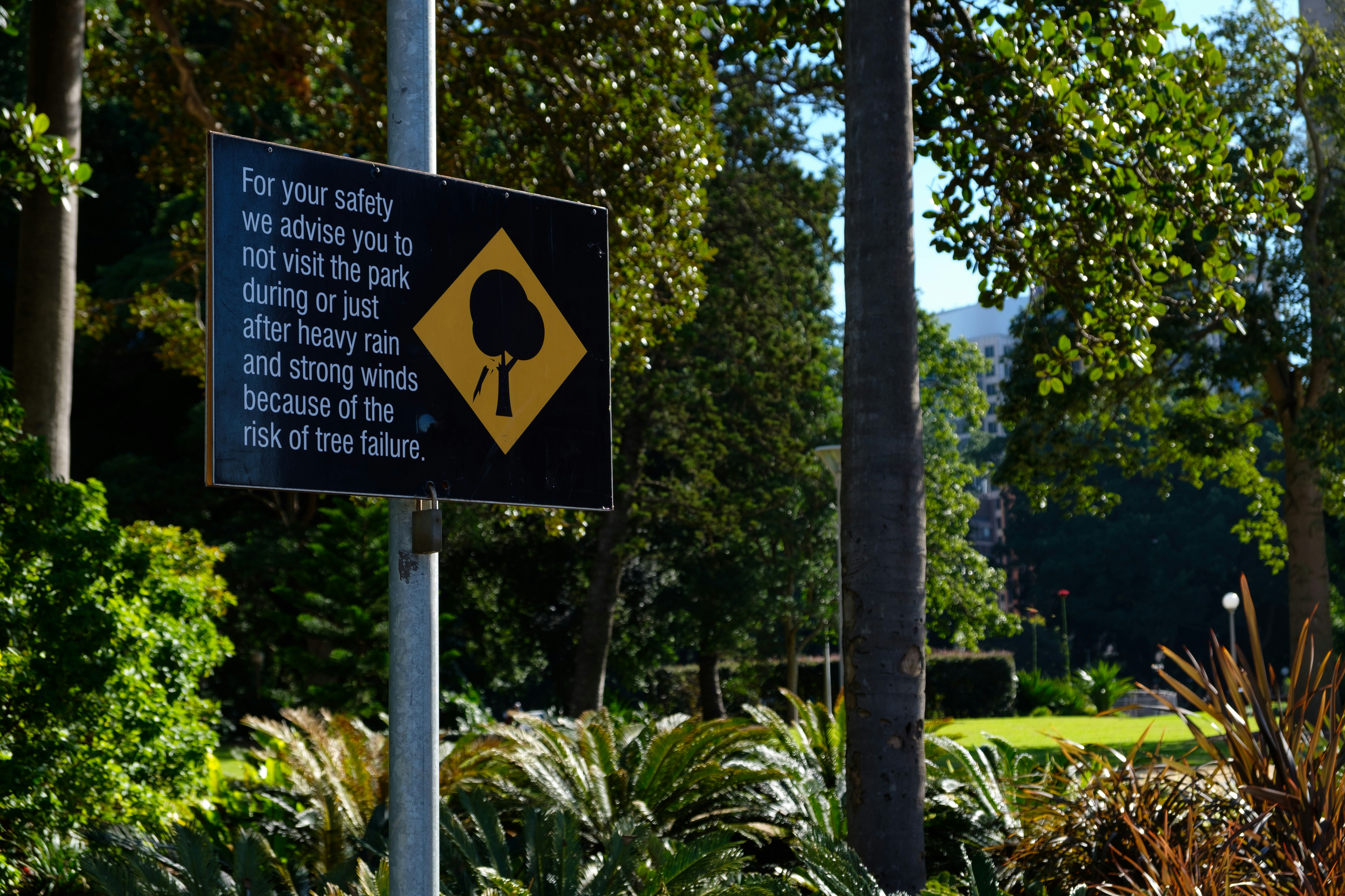 Park Warning Sign Amid Sunlit Palms