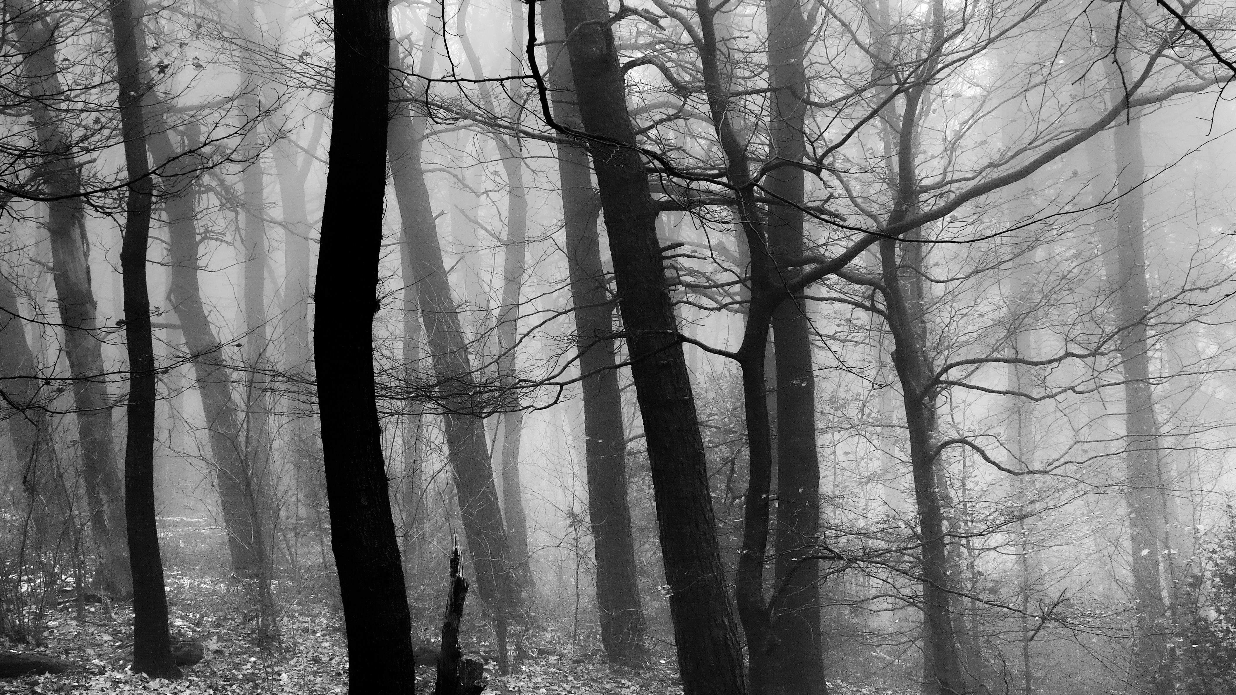 person walking on snow covered ground