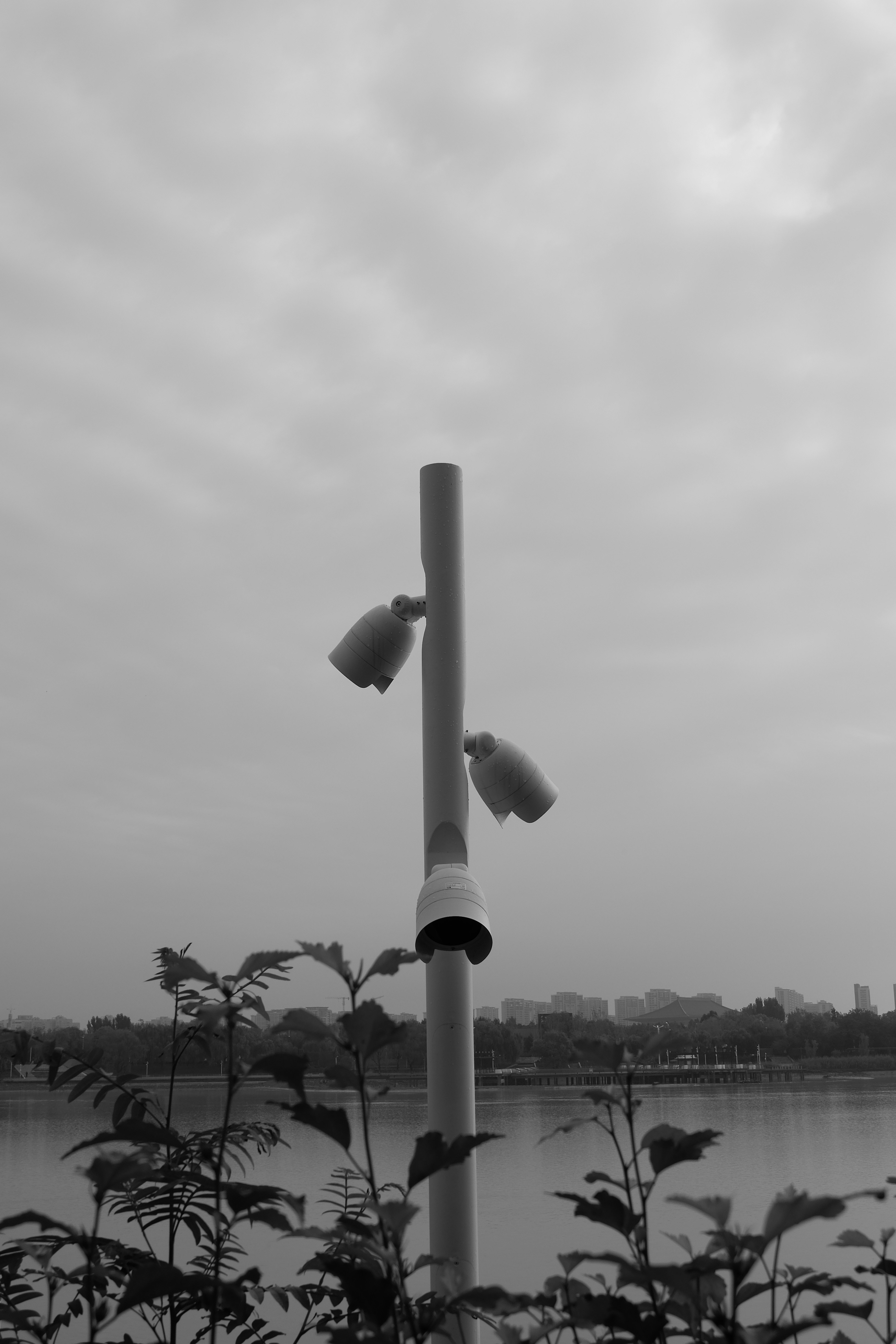 Grayscale photo of street lights photo – Free Animal Image on Unsplash