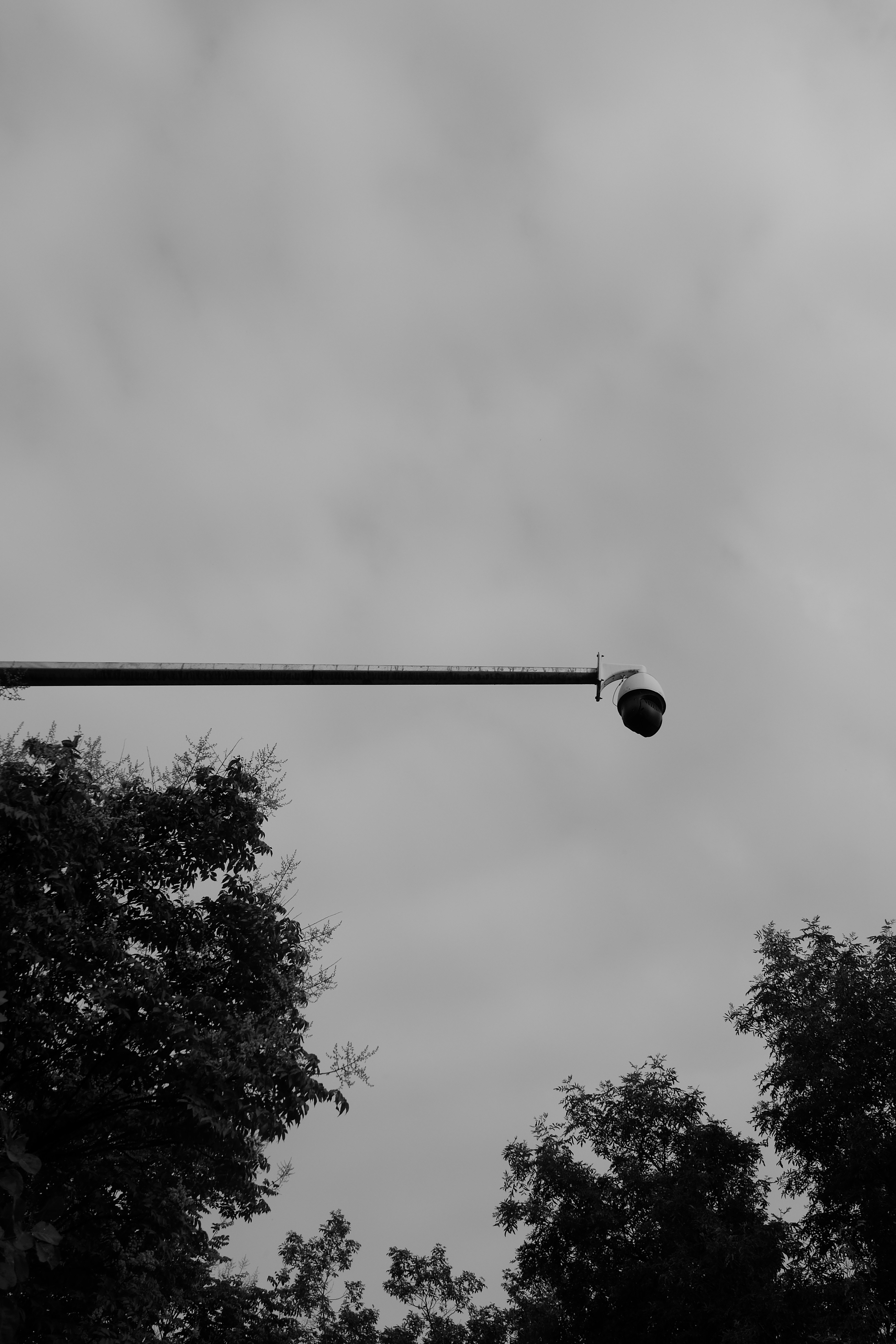 Spherical Sentinel on a Horizontal Horizon