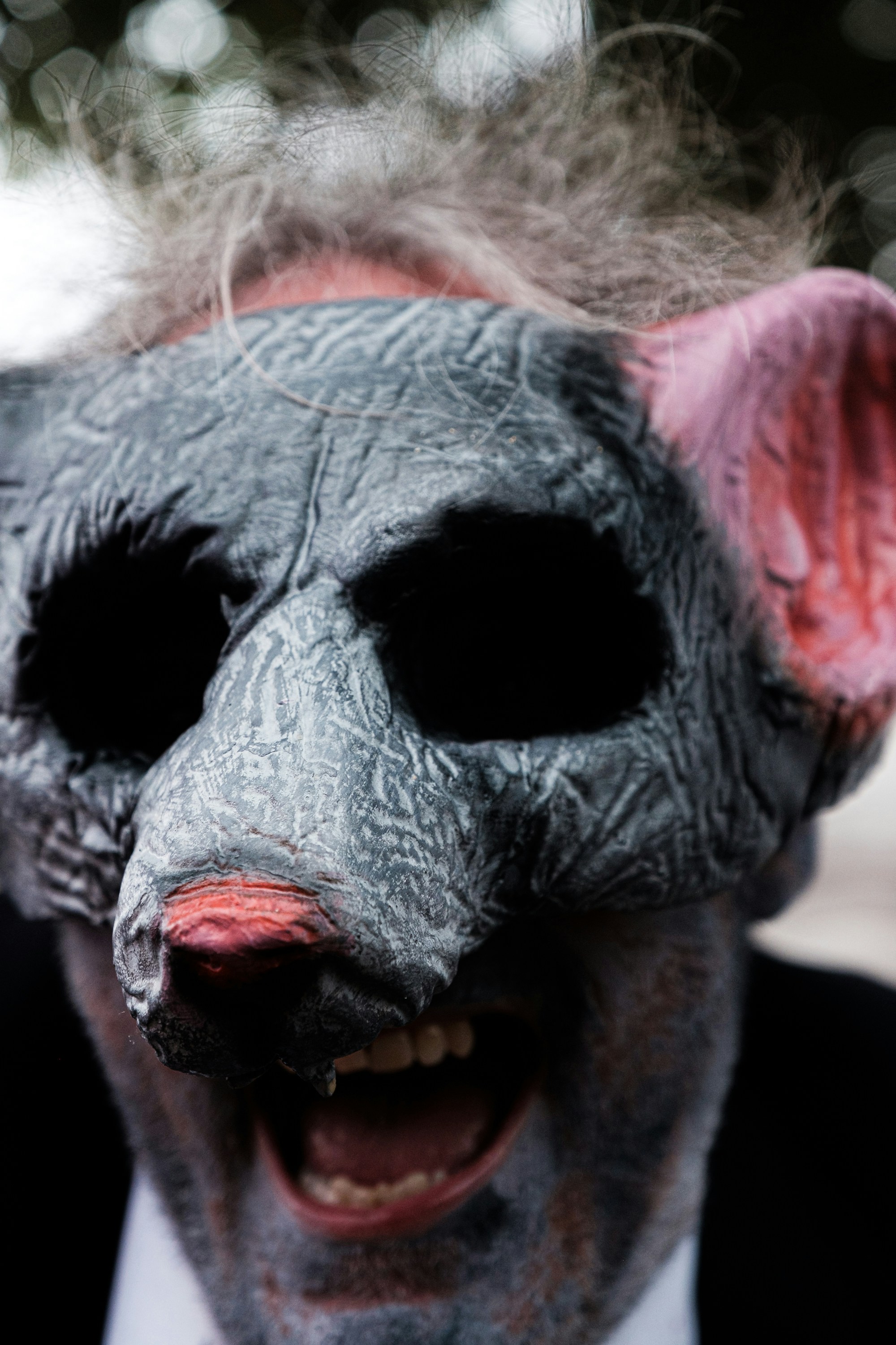 A person wearing a grotesque mouse mask, with exaggerated features and wild hair, expresses intense emotion. The focus is on the mask's intricate details and the dramatic expression beneath it.