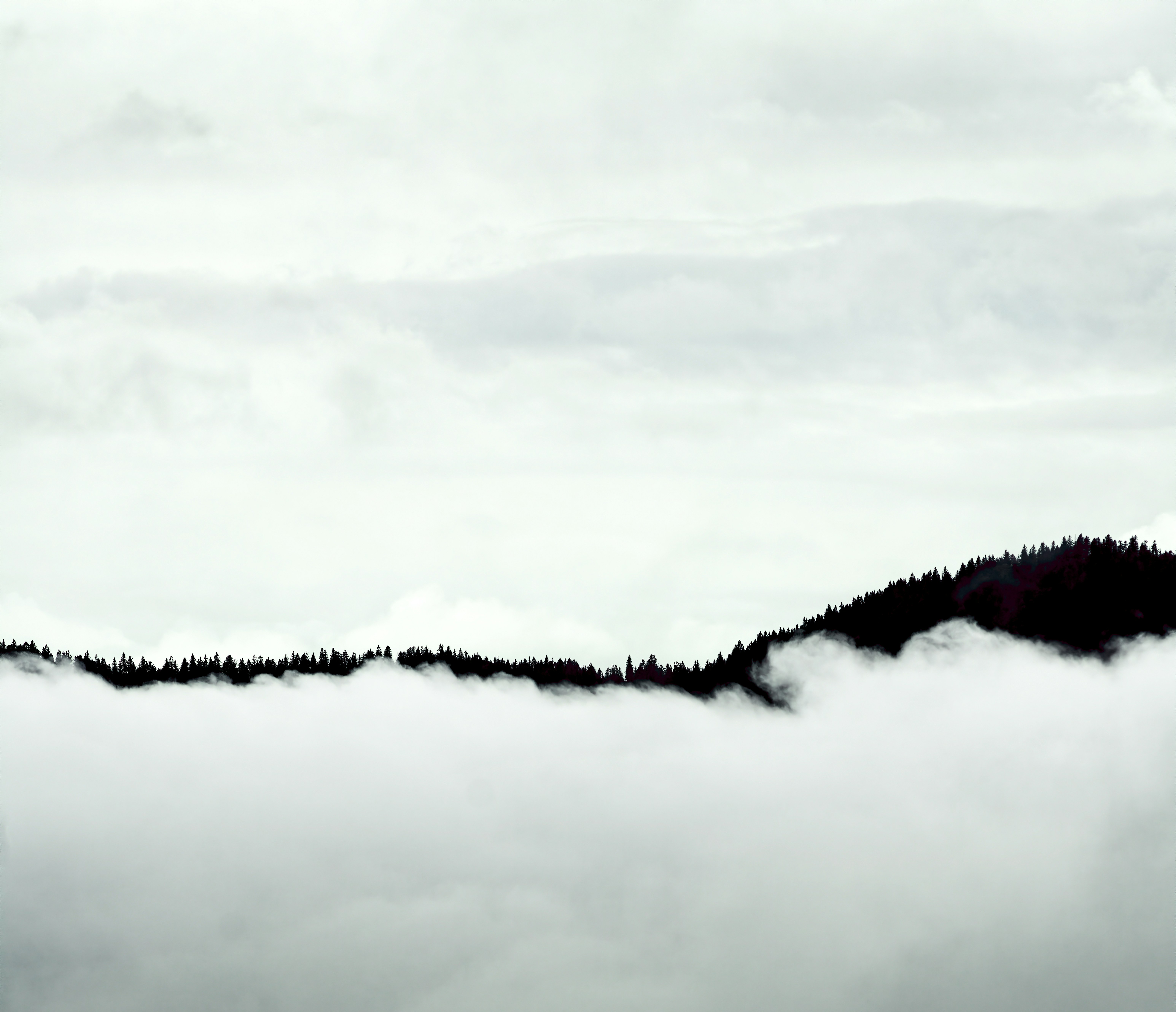 Edge of the Mist: A Quiet Ridge Above the Clouds