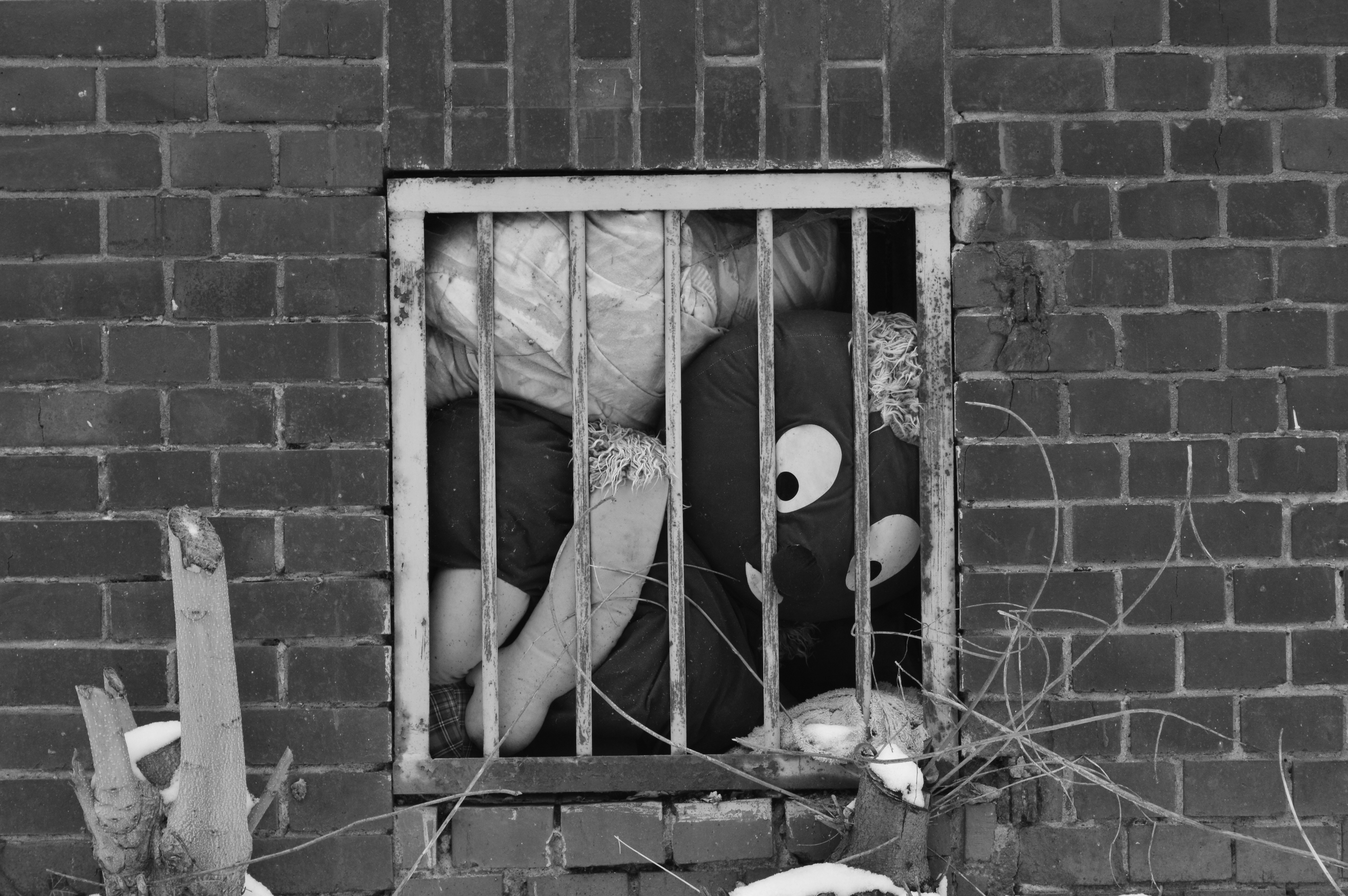 Behind the Bars: A Plush Witness in Grayscale