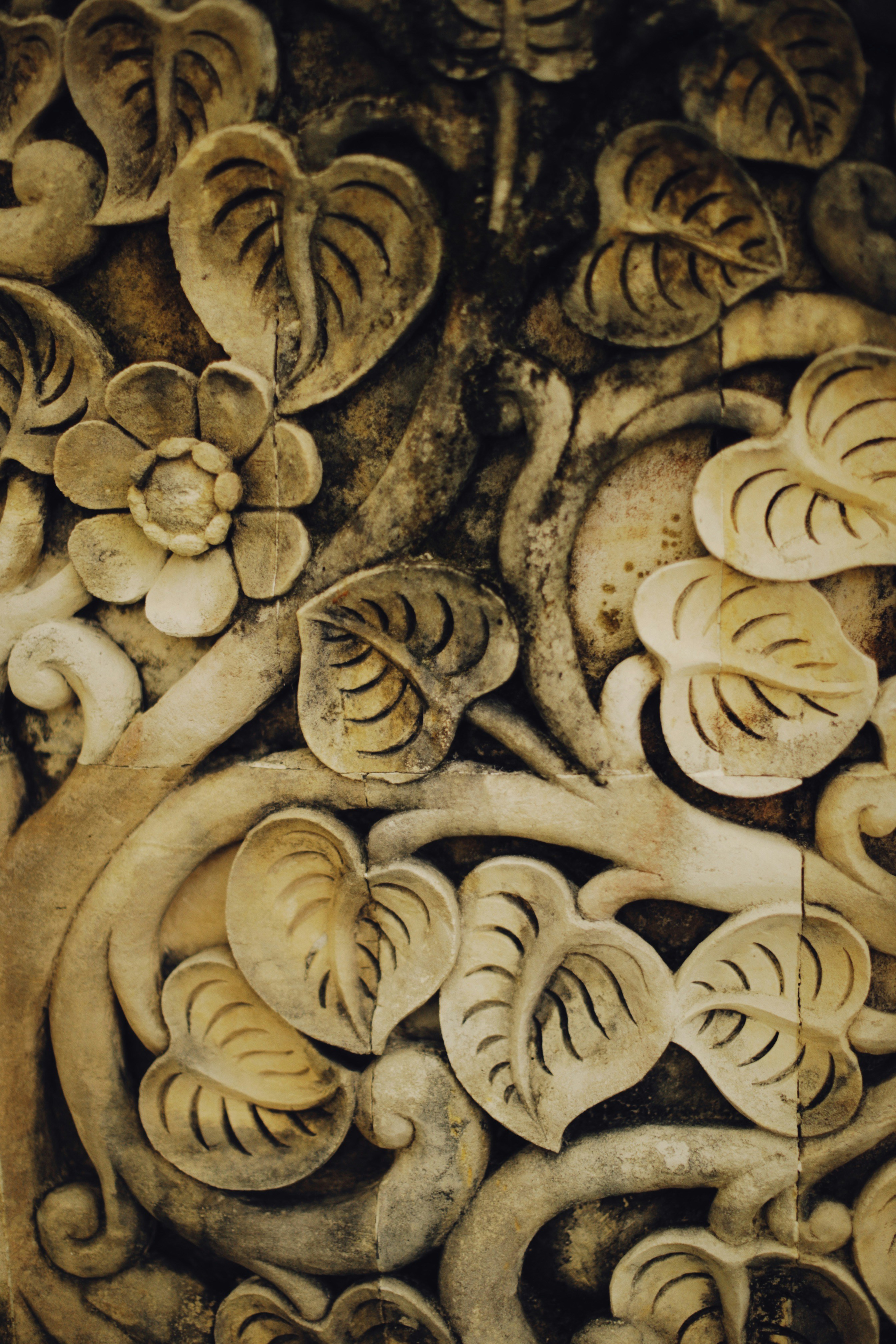 Carved Garden of Vines and Heart-Leaves in Sandstone