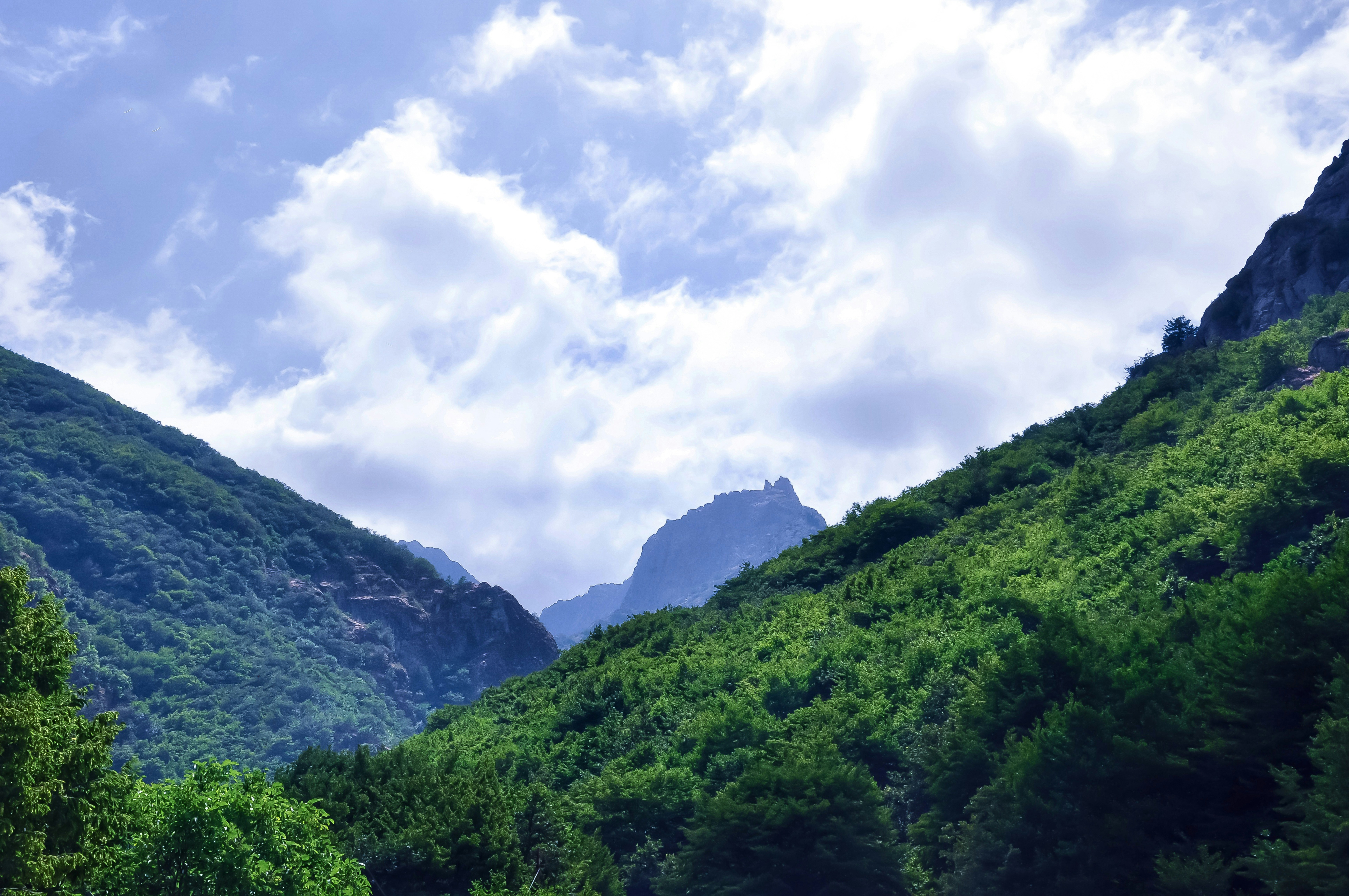 Lush green trees blanket a mountain valley beneath scattered white clouds.