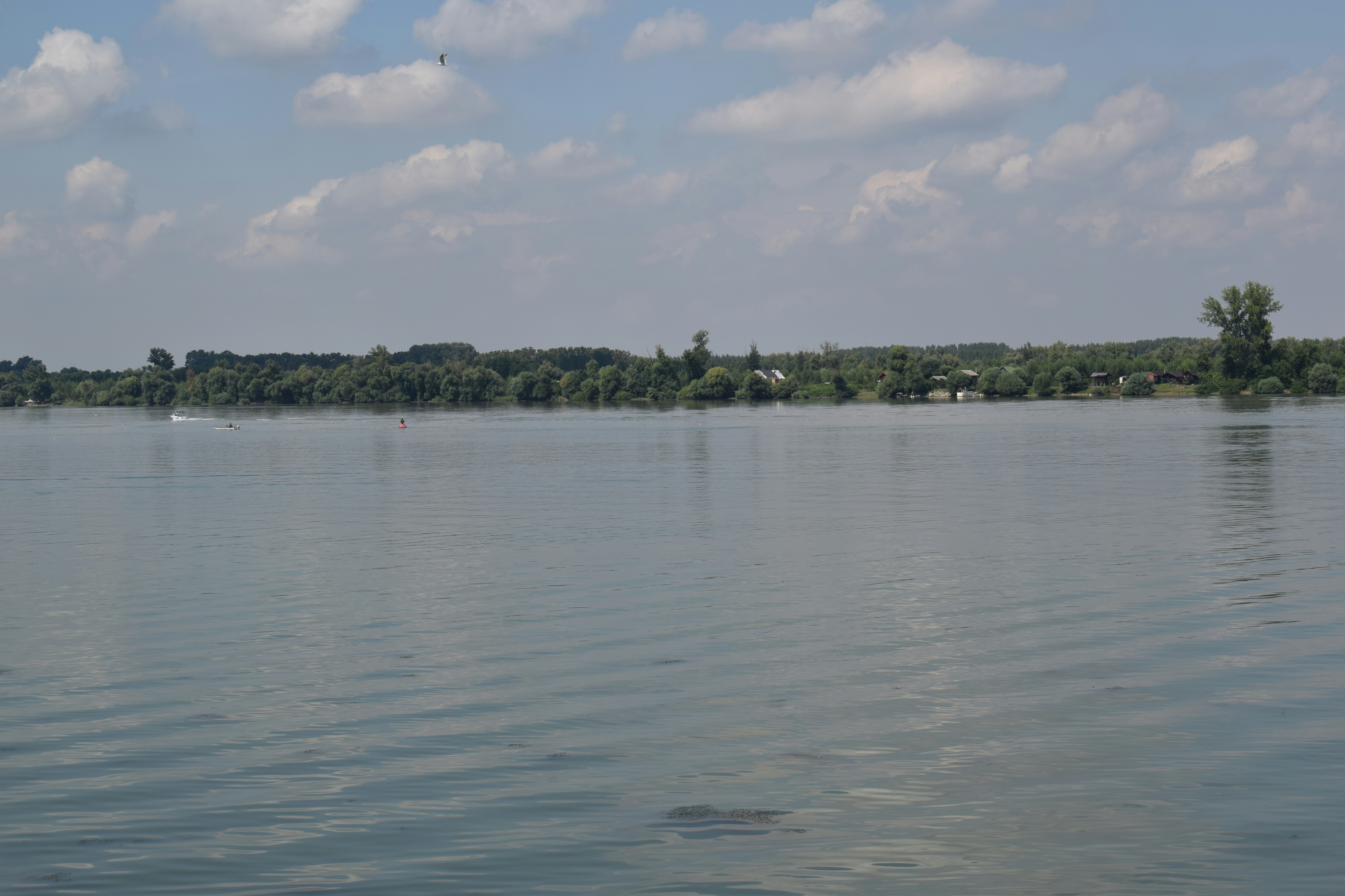 Tranquil lake reflecting a cloudy sky, bordered by lush greenery and distant houses. The scene evokes a sense of calm and natural beauty.