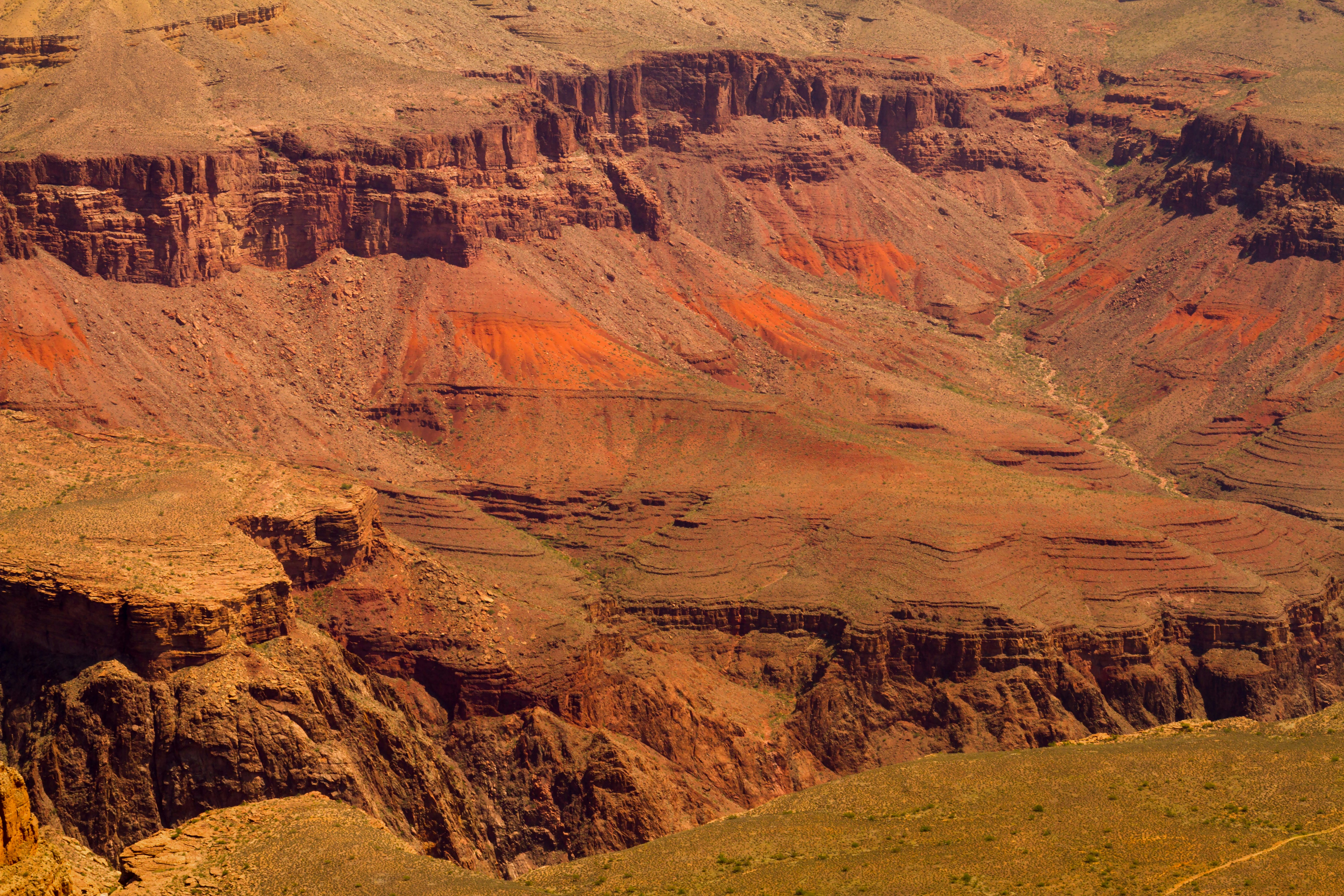 Vibrant layers of rock formations in the Grand Canyon showcase a spectrum of earthy tones, illustrating the geological history of this iconic landscape.
