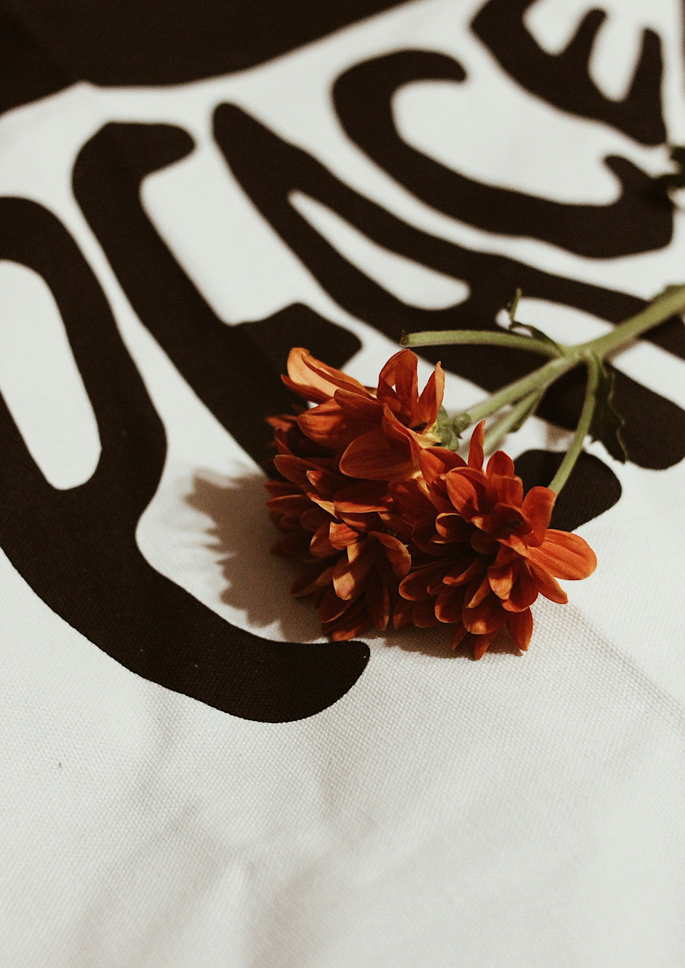red and white flower on white textile