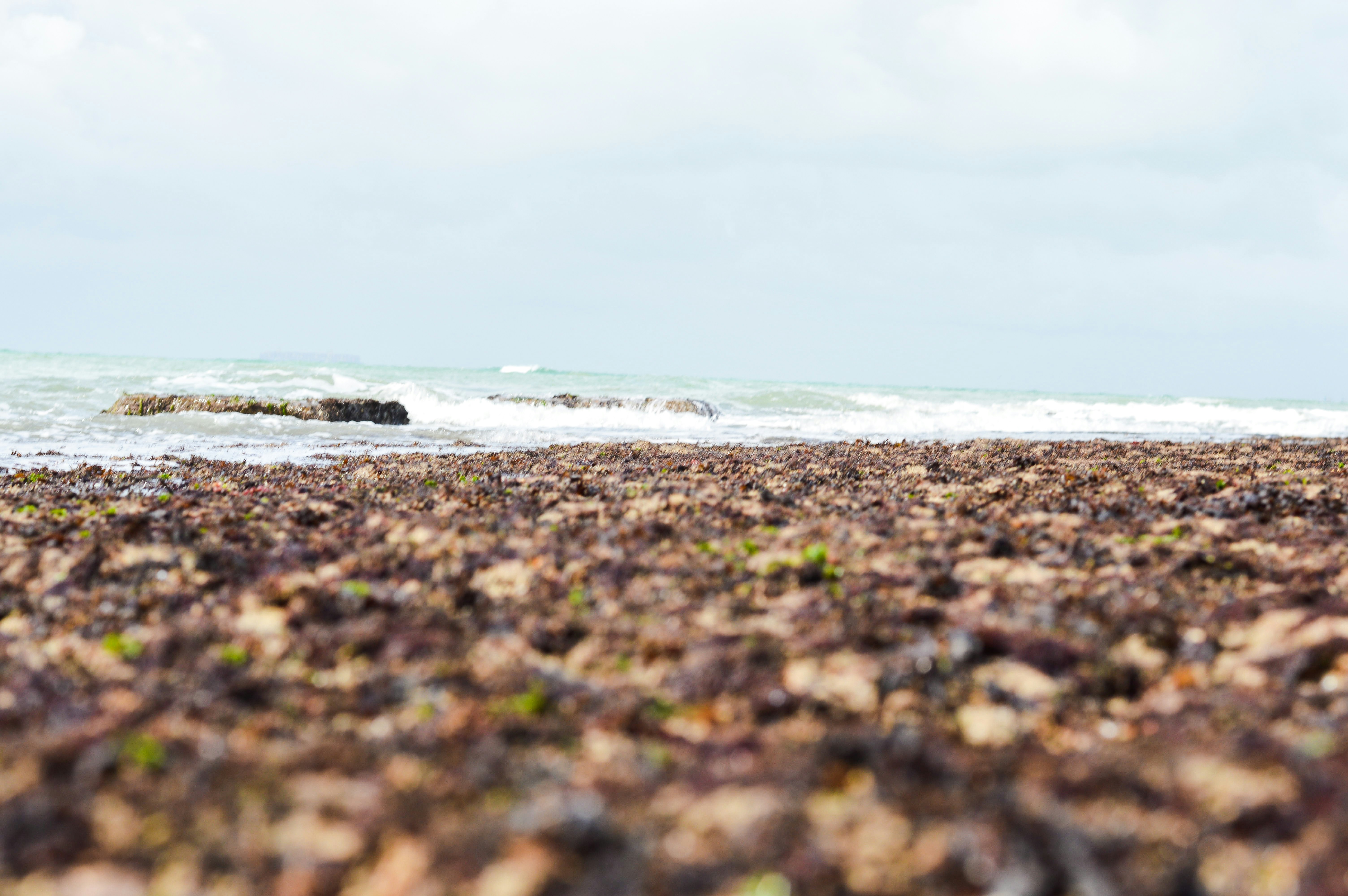 Sable gris près d’un plan d’eau pendant la journée photo – Photo La ...