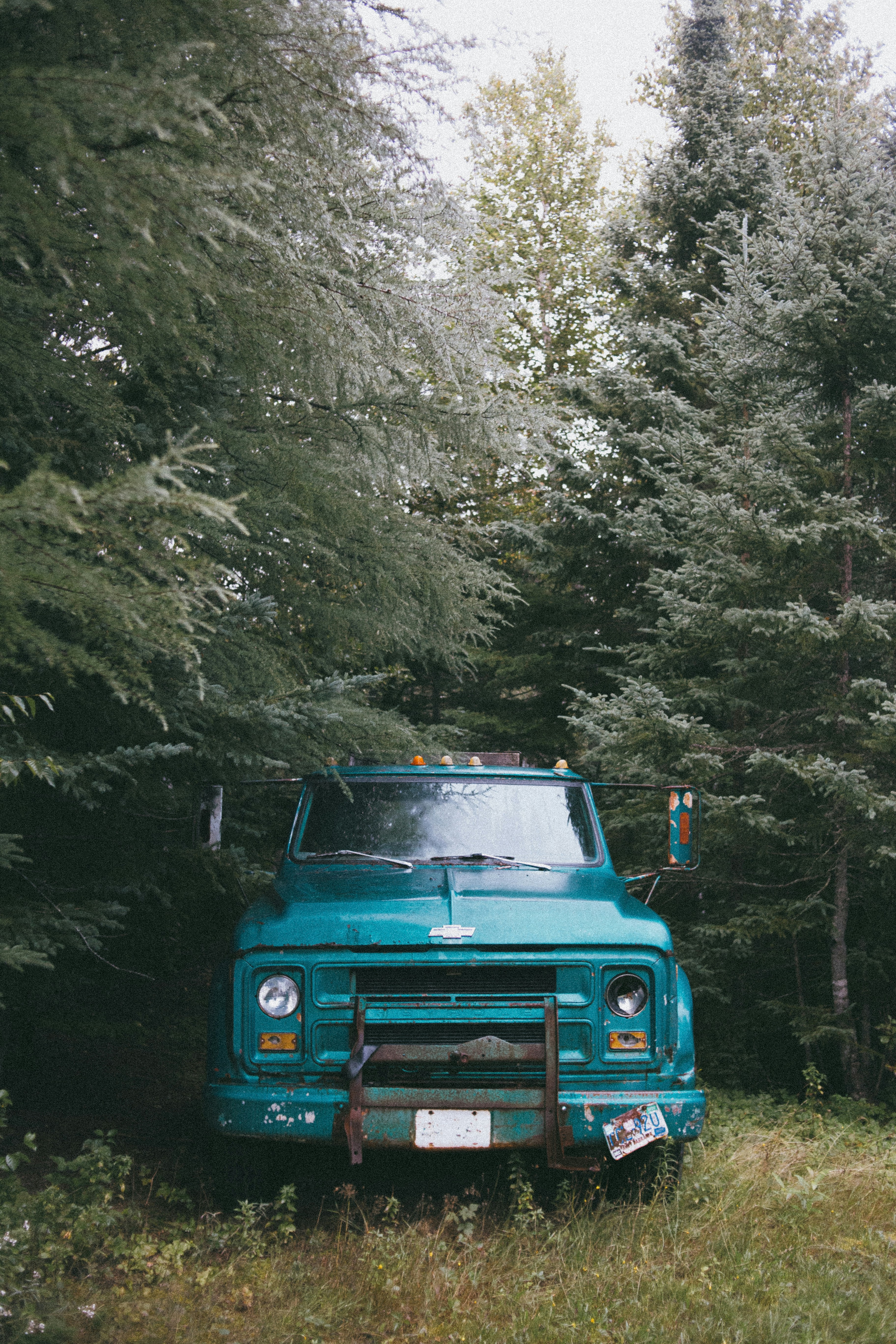 An abandoned green truck nestled among dense trees, evoking a sense of nostalgia and nature's reclamation. The vehicle's weathered exterior hints at stories of the past.