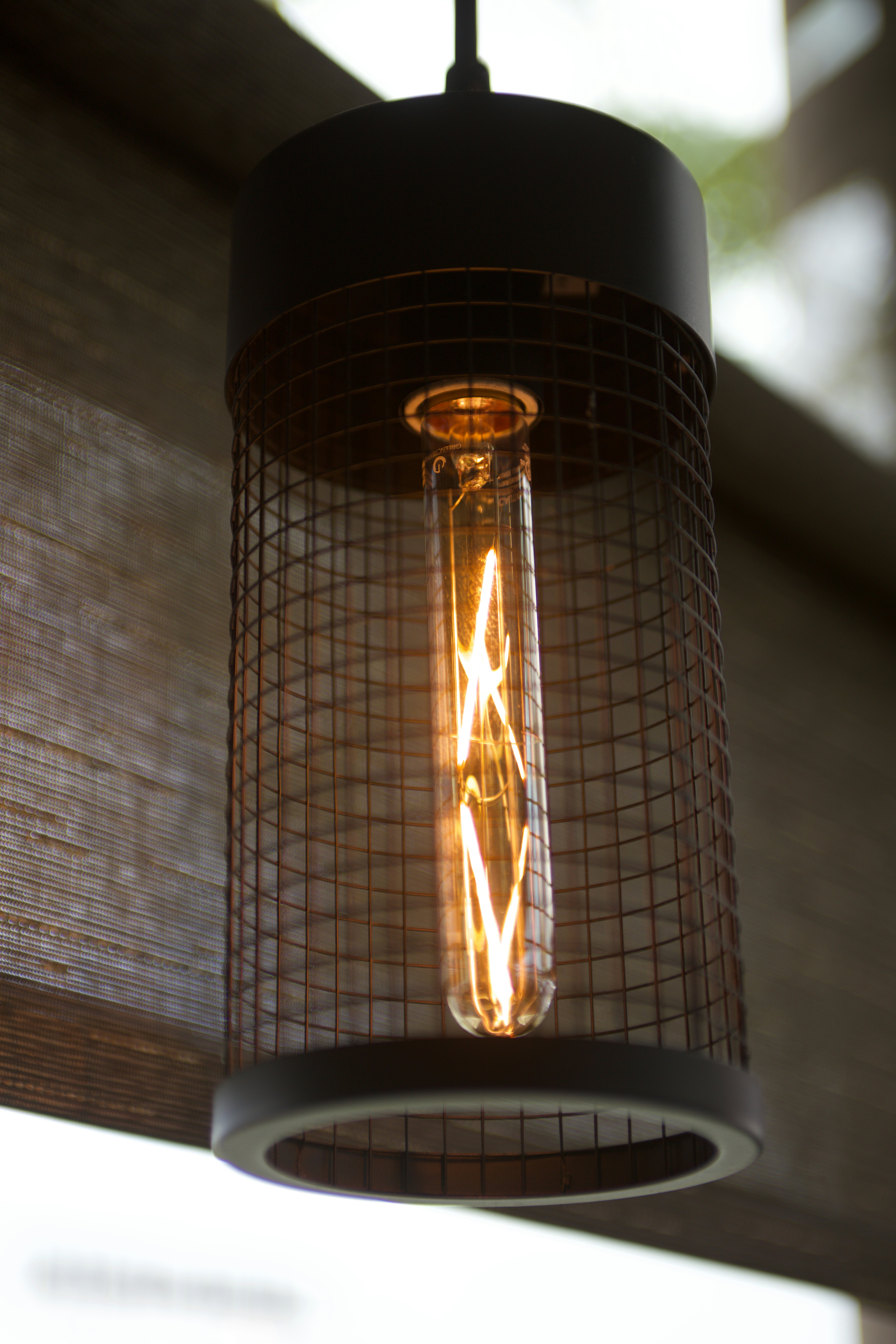 Industrial Edison Glow: A Single Filament in Copper Mesh