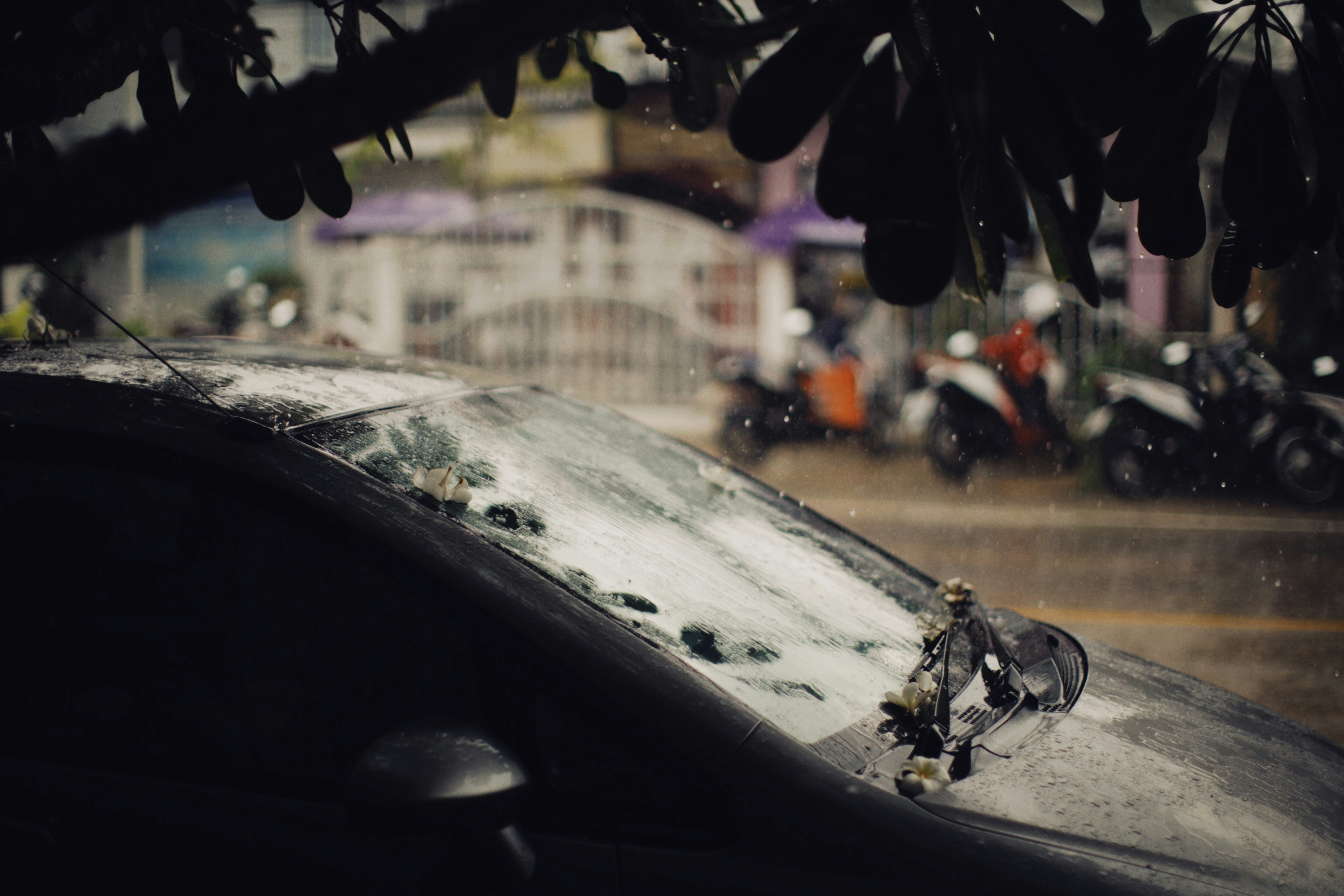 Rainy city glare on a shadowed car windshield