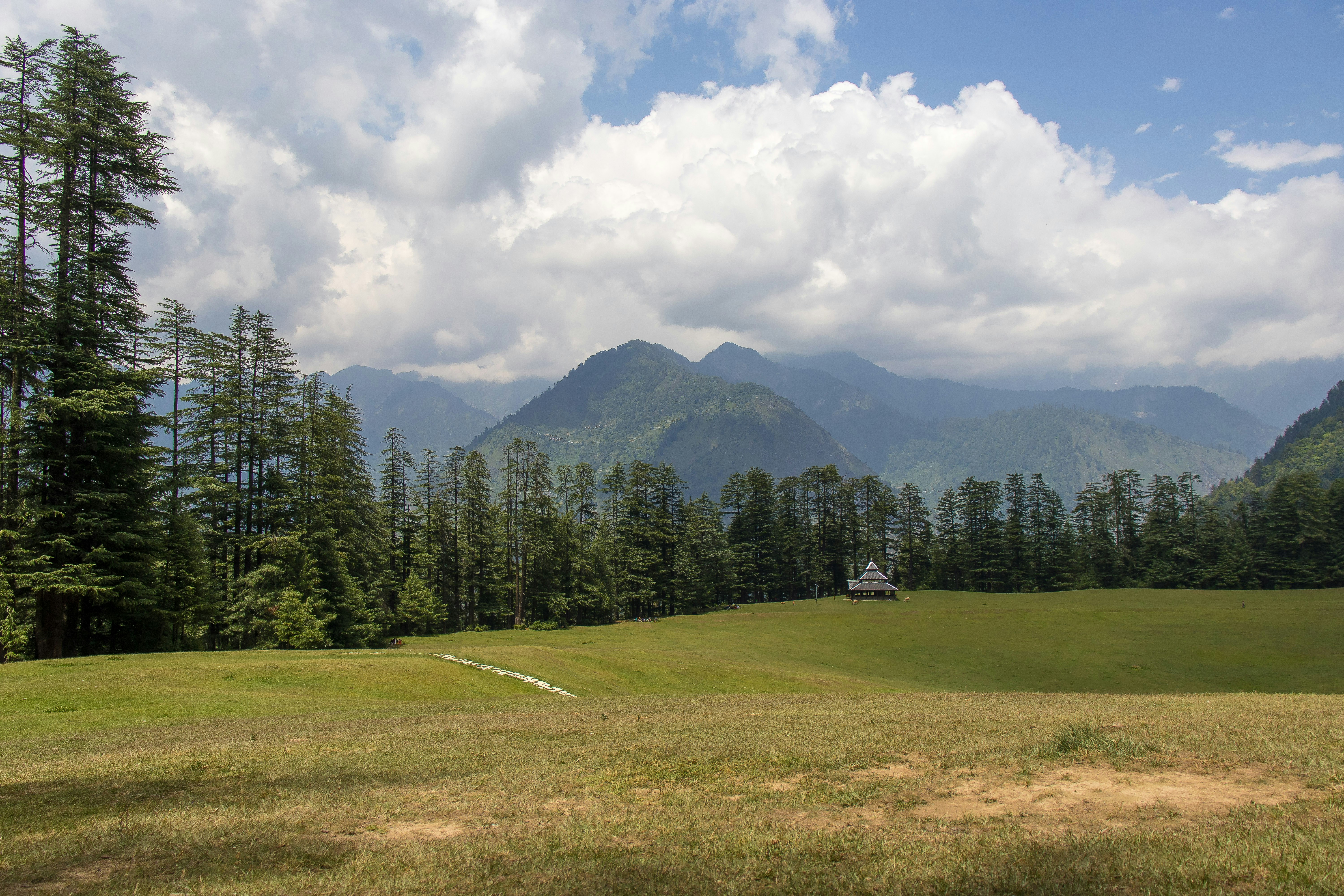 green grass field near green trees and mountain under white clouds and blue sky during daytime