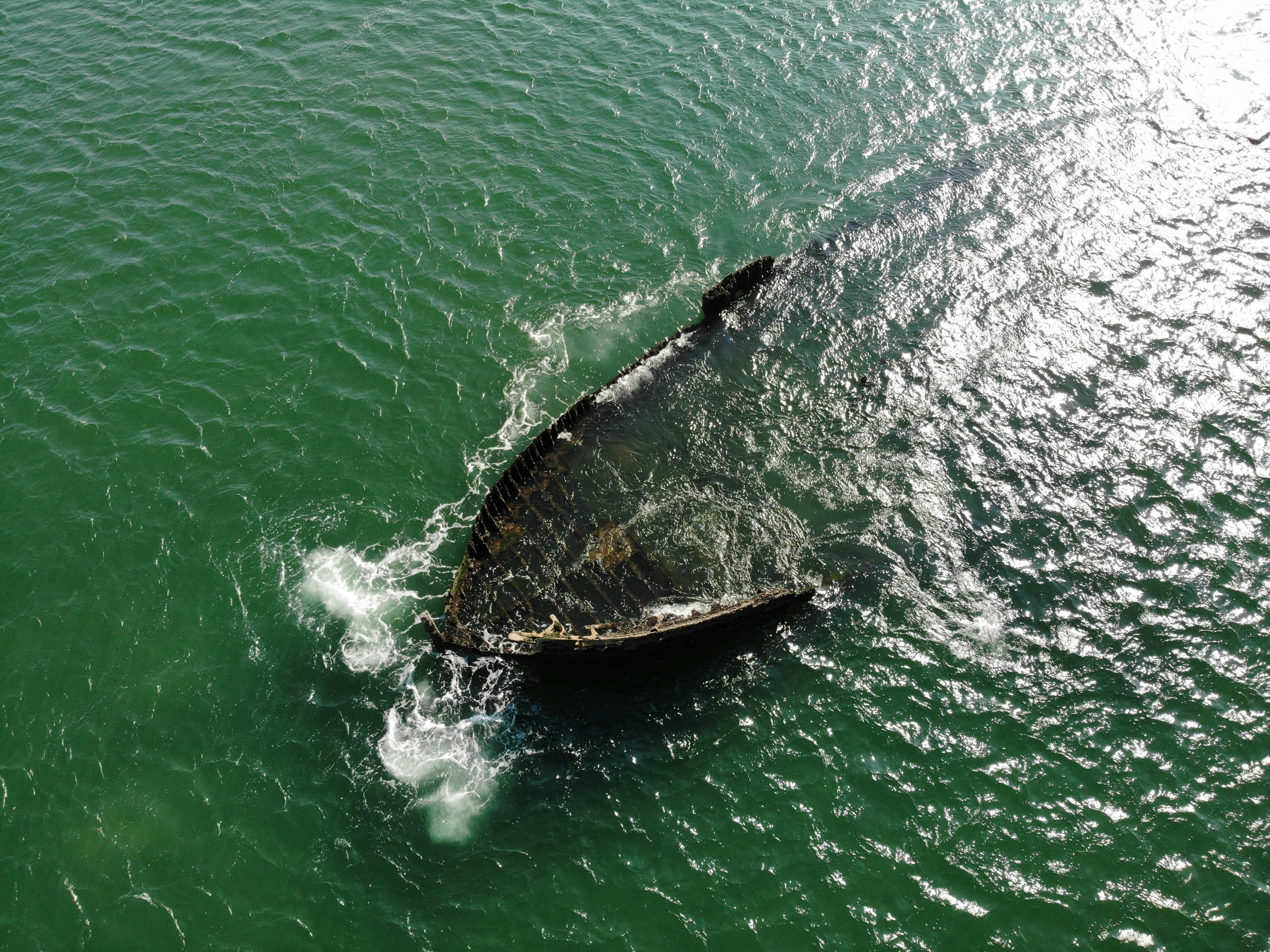 Brown canoe on green water photo – Free Animal Image on Unsplash