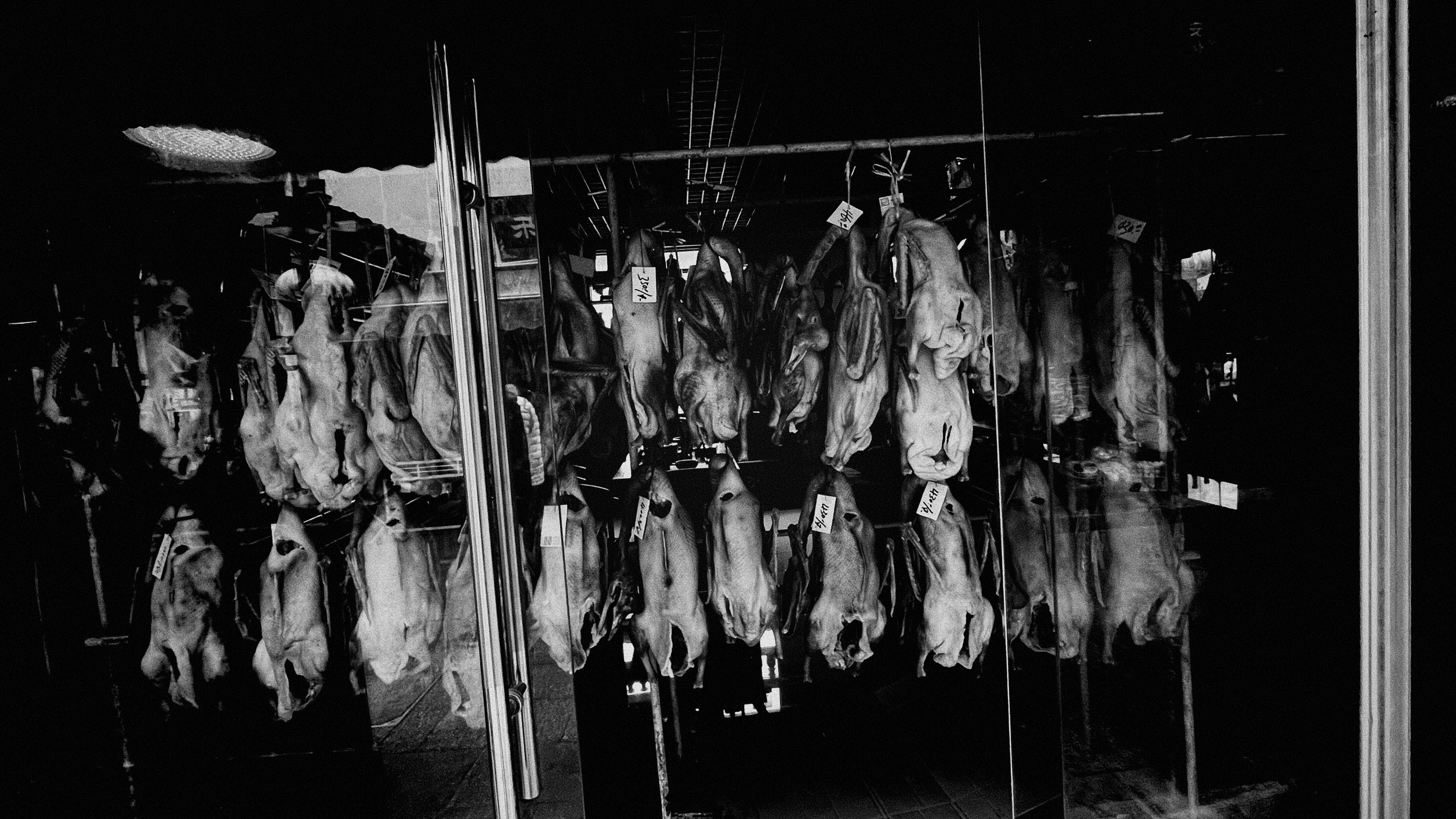 Black-and-white photograph of carcasses hanging in an abattoir, rows suspended in a stark, dim interior.