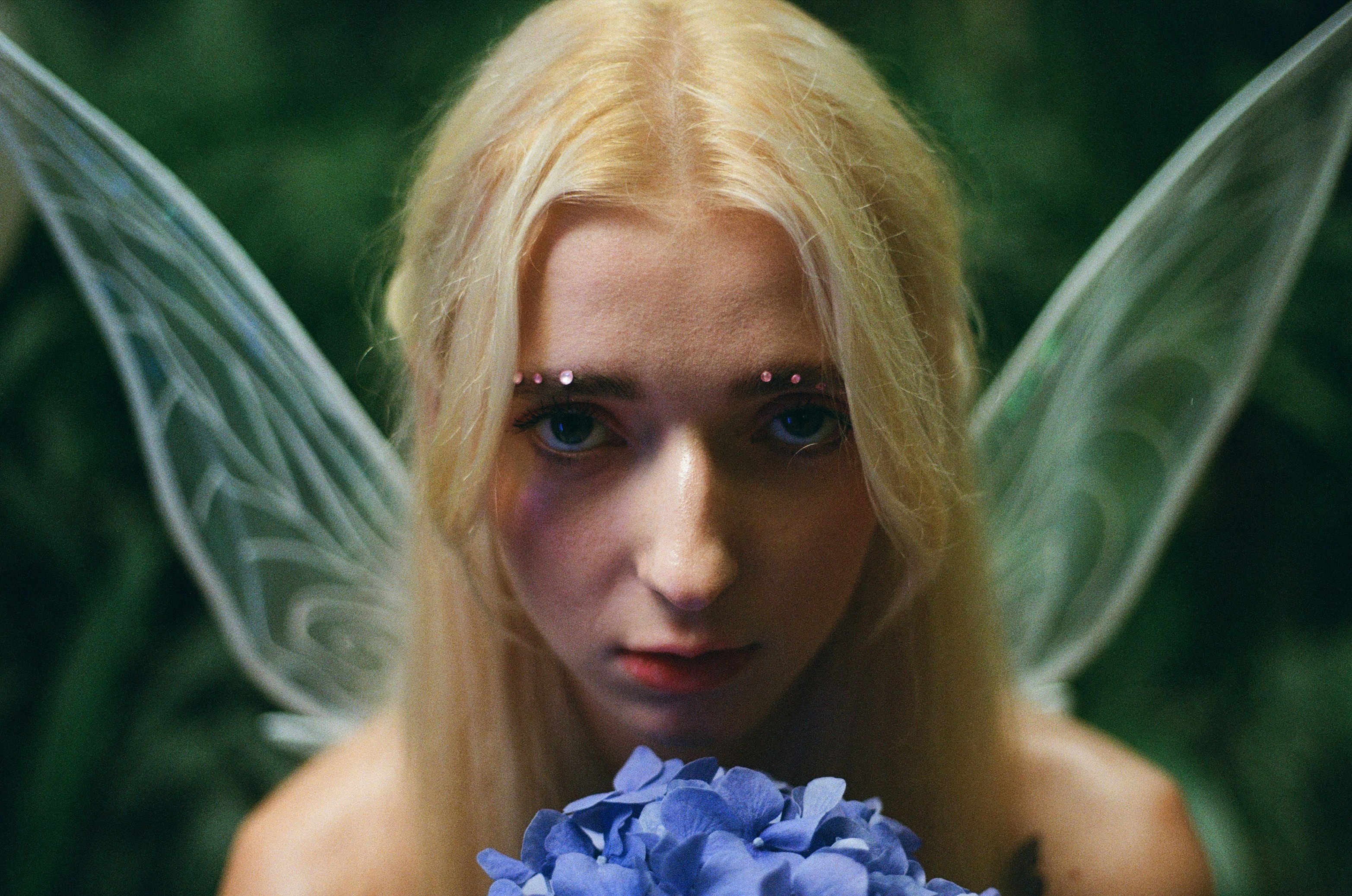 30,000+ Pixie Pictures | Download Free Images on Unsplash