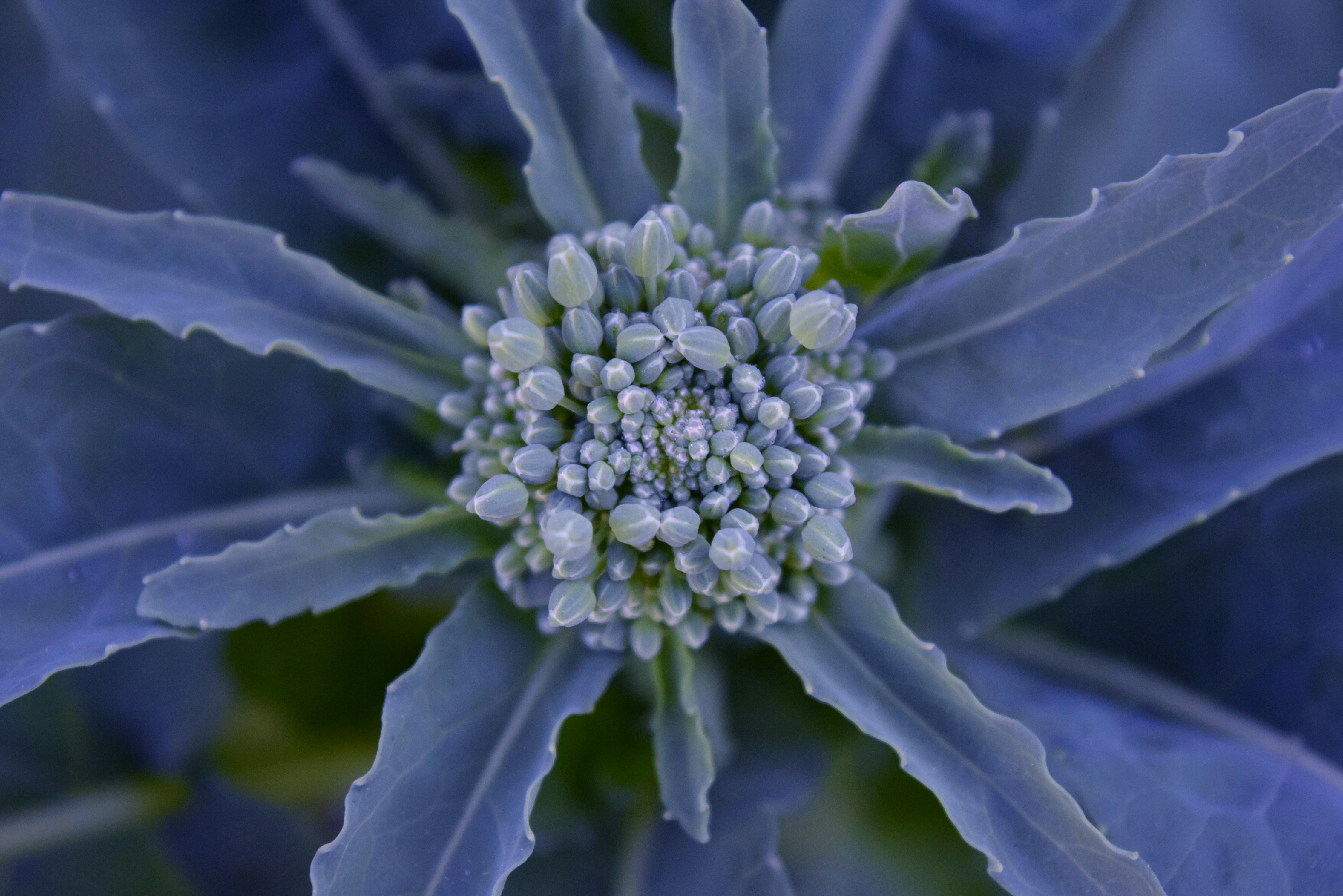 Photo by Ch Photography with Nikon D3300