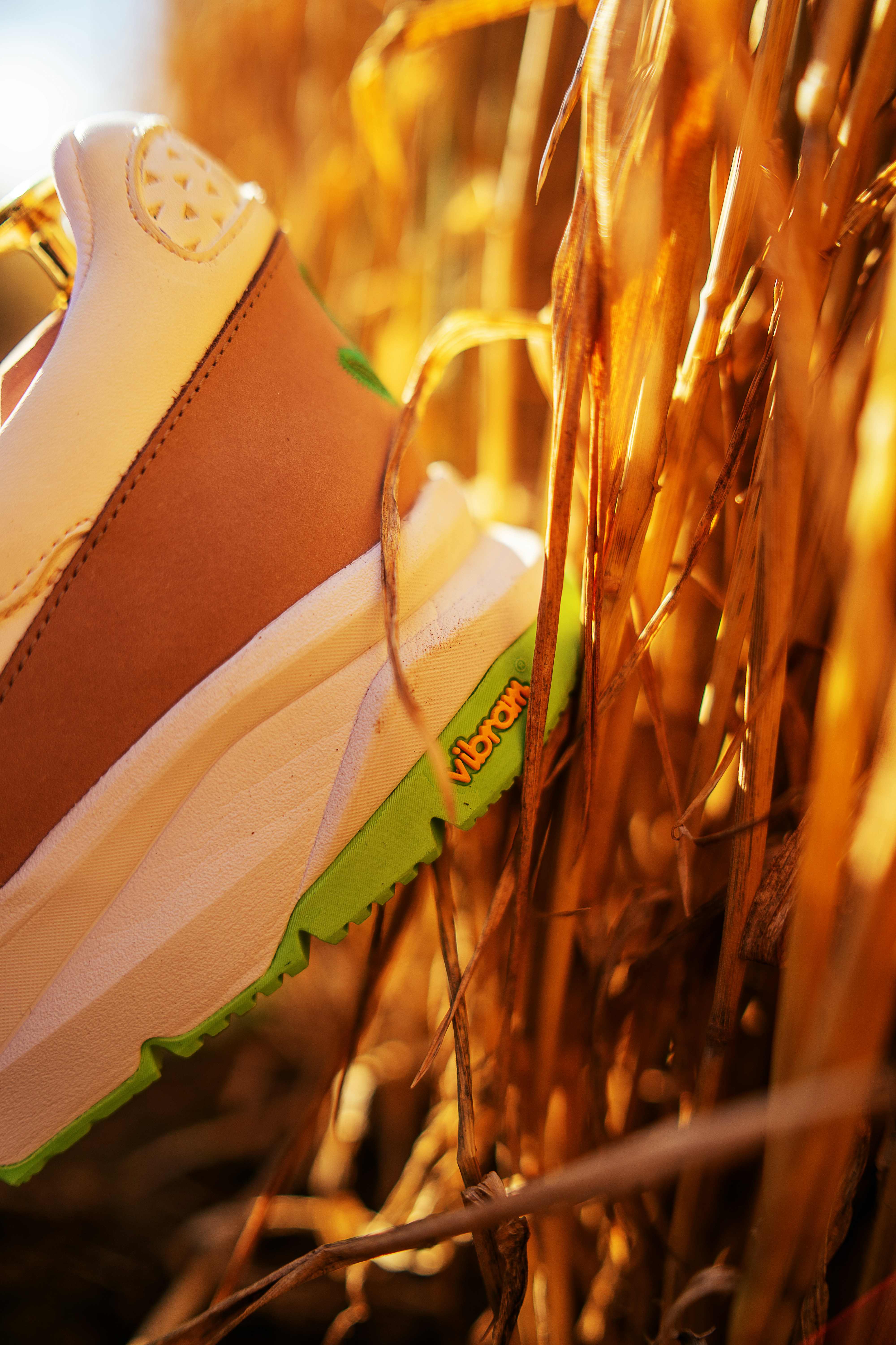 Golden Heel in the Cornfield: A Close-Up on a Vibram-Accent Sneaker
