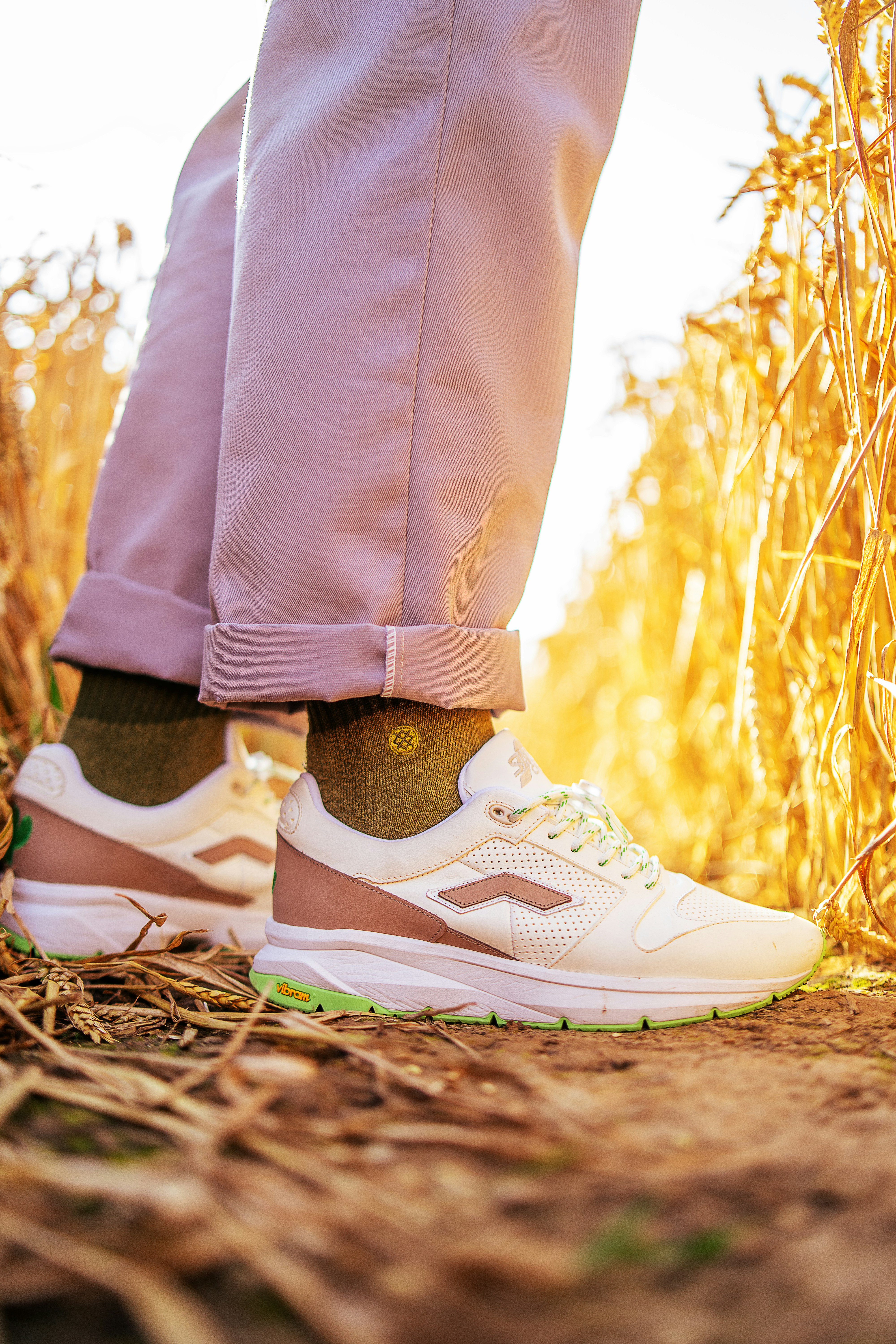 Step Into the Sunlit Path: Sneakers at Ground Level