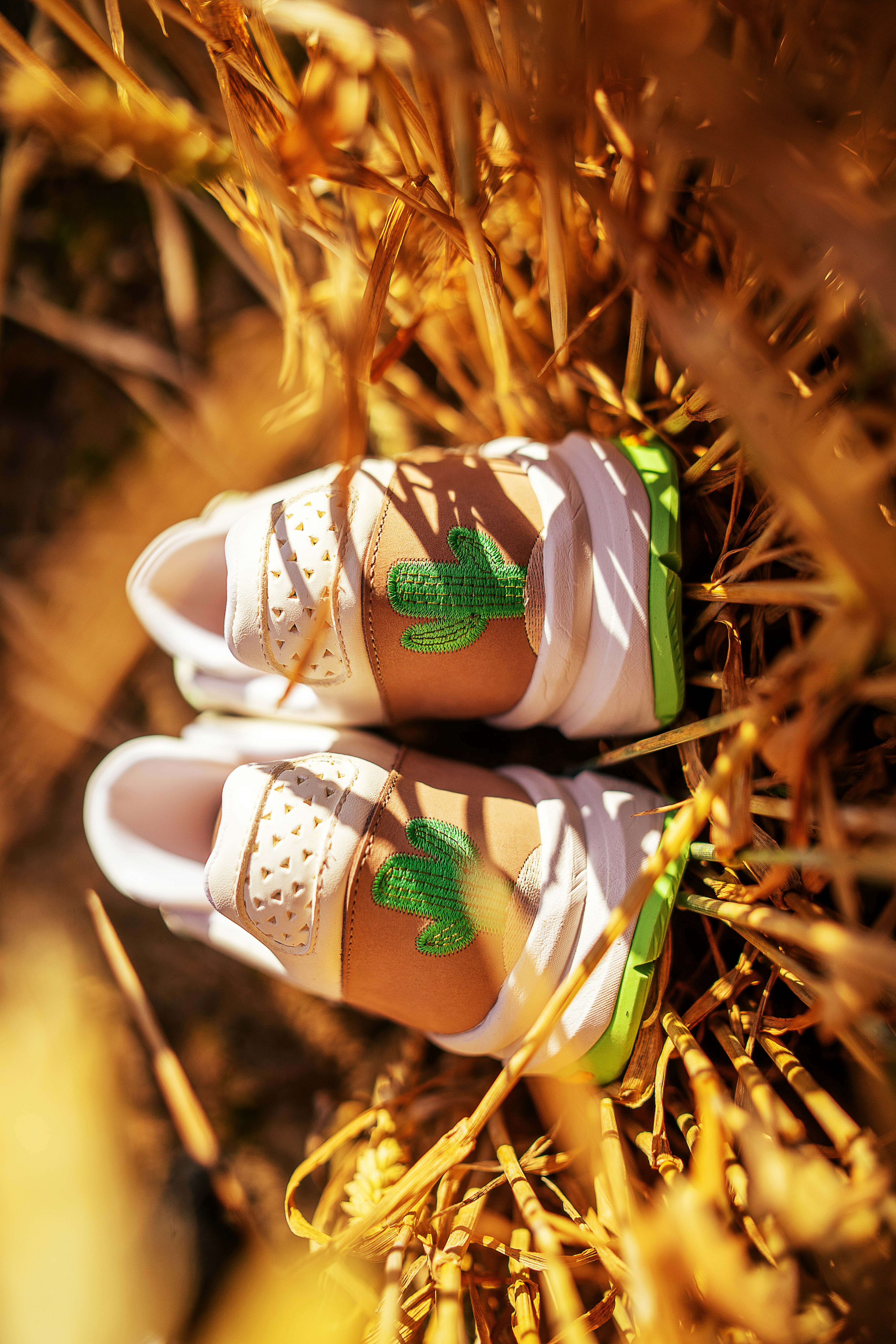 Tiny green leaves, big adventure: baby shoes among golden stalks