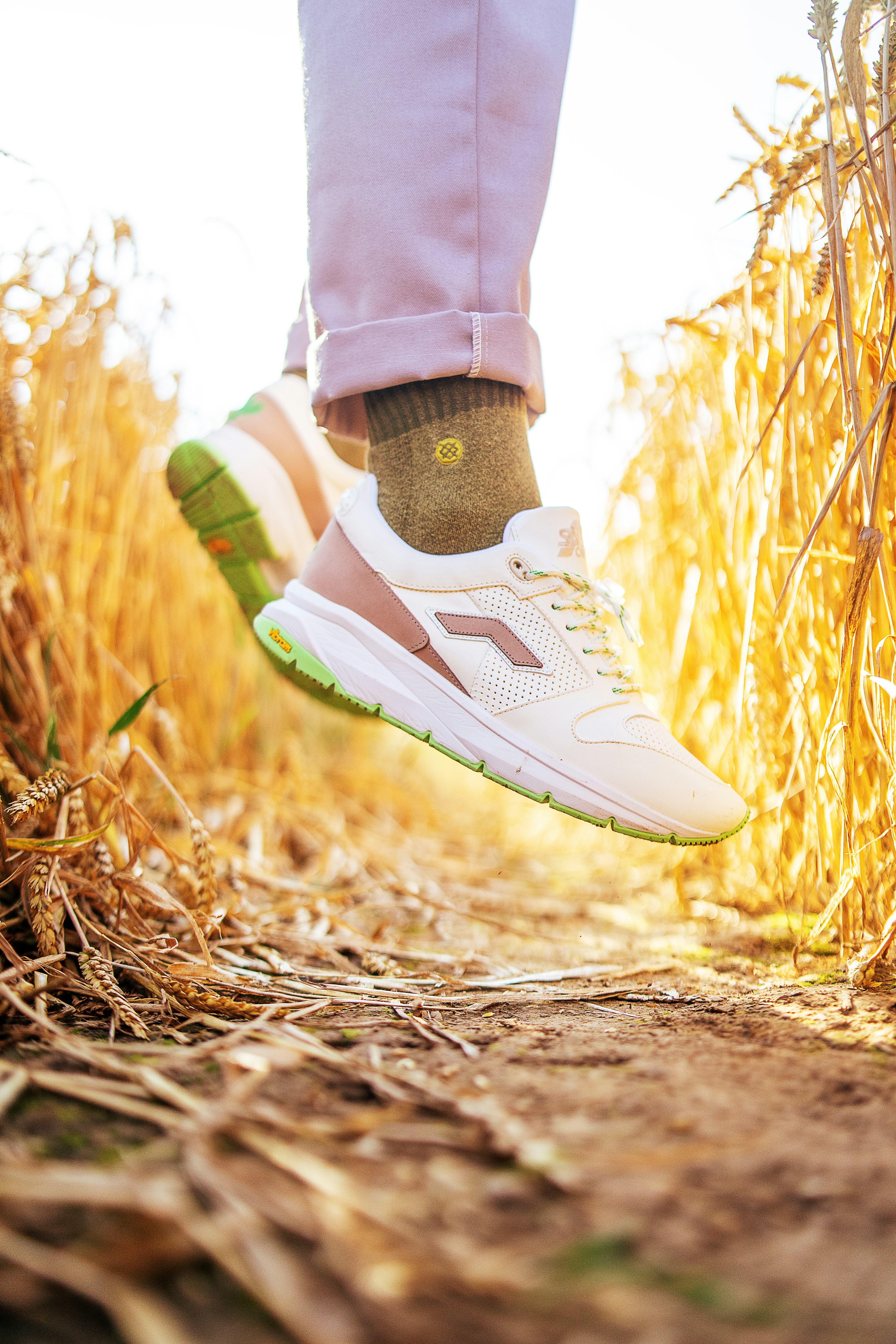 Airborne Step in a Sunlit Cornfield: White Sneakers Hover Over a Golden Path