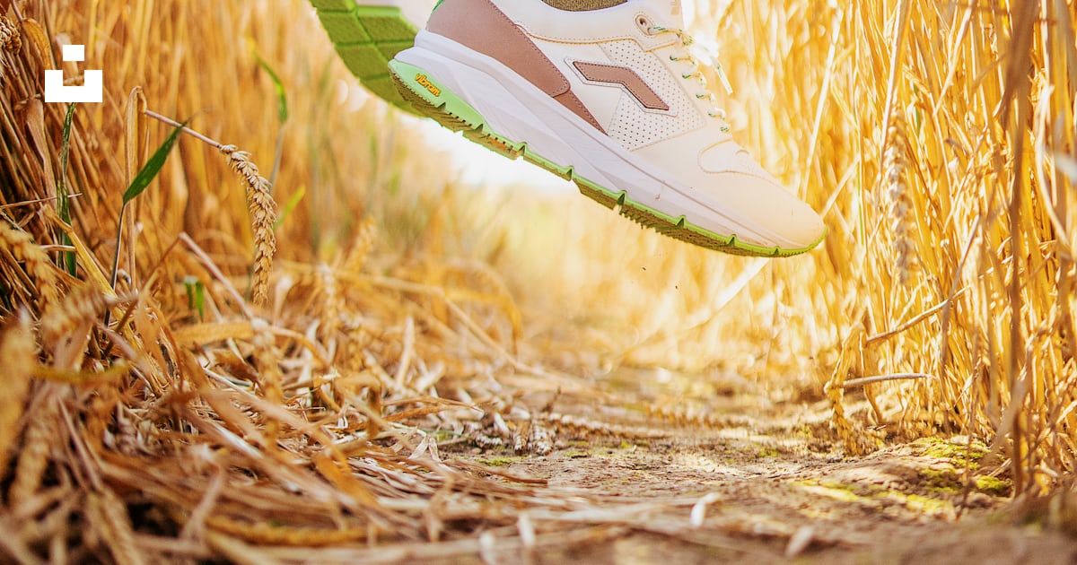 Person Wearing Blue And White Nike Athletic Shoes Photo Free Sneaker