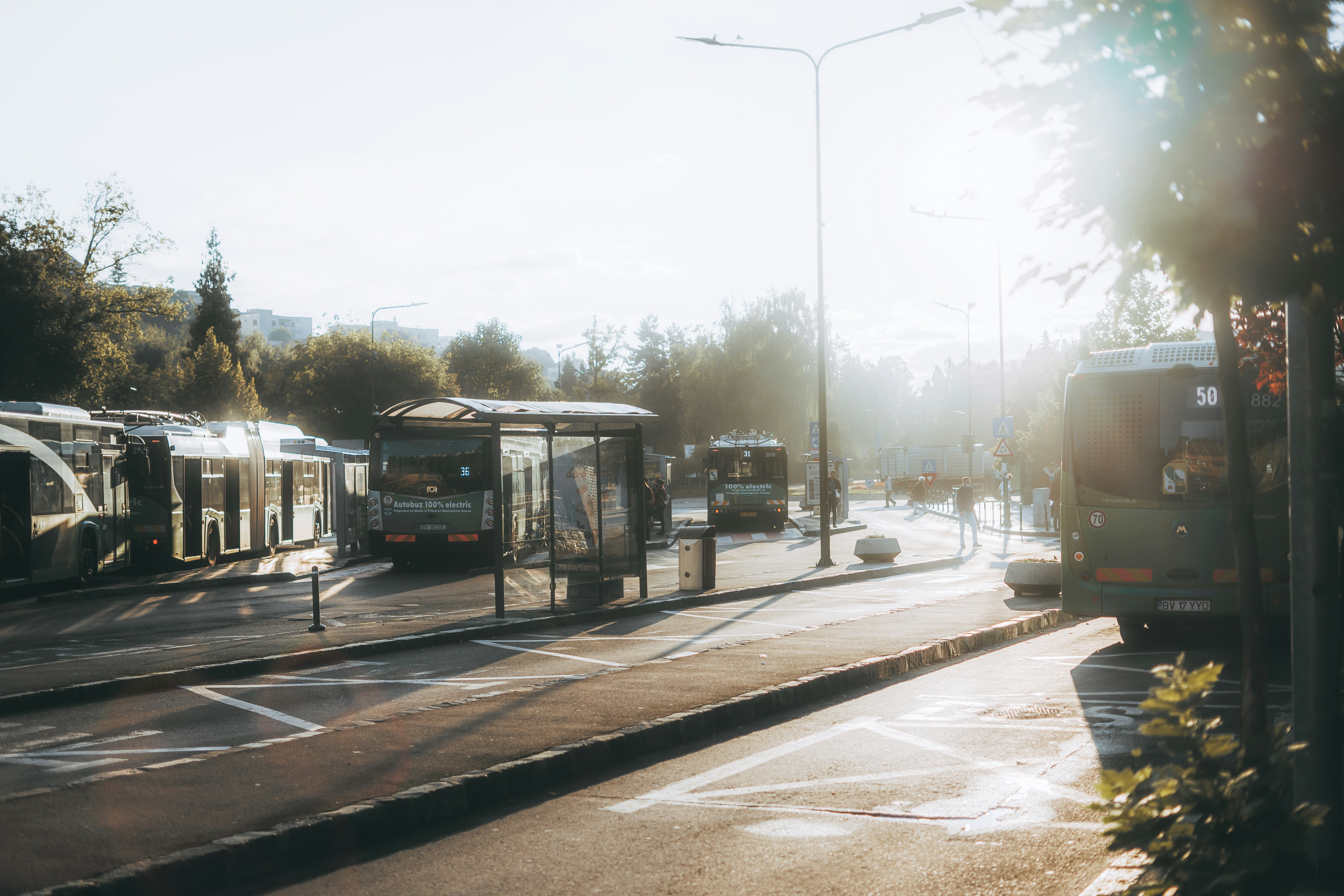 Buses lined up at a transit station under soft morning light, with trees framing the scene. A sense of urban life beginning anew.