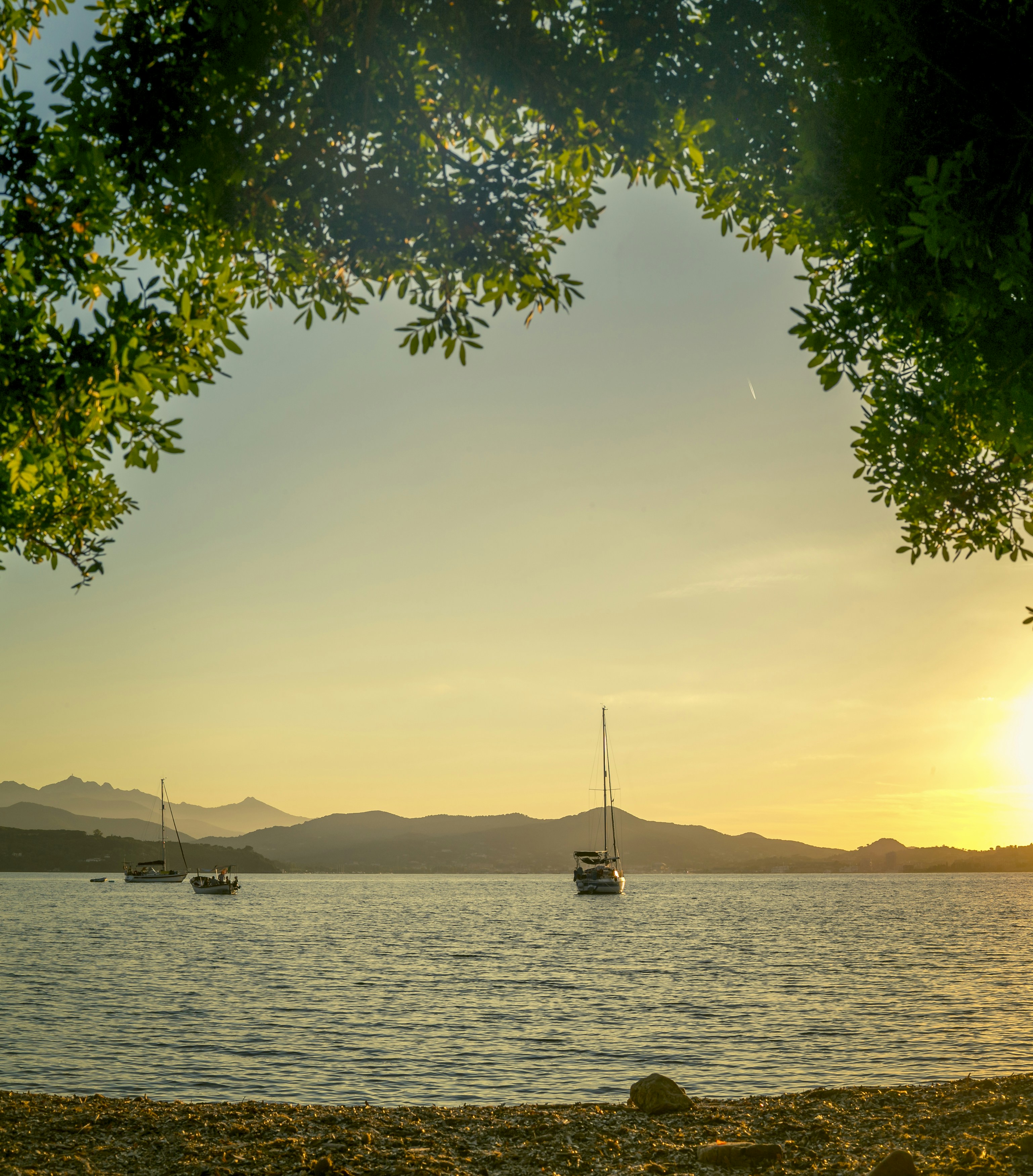Golden Hour Serenity by the Shore