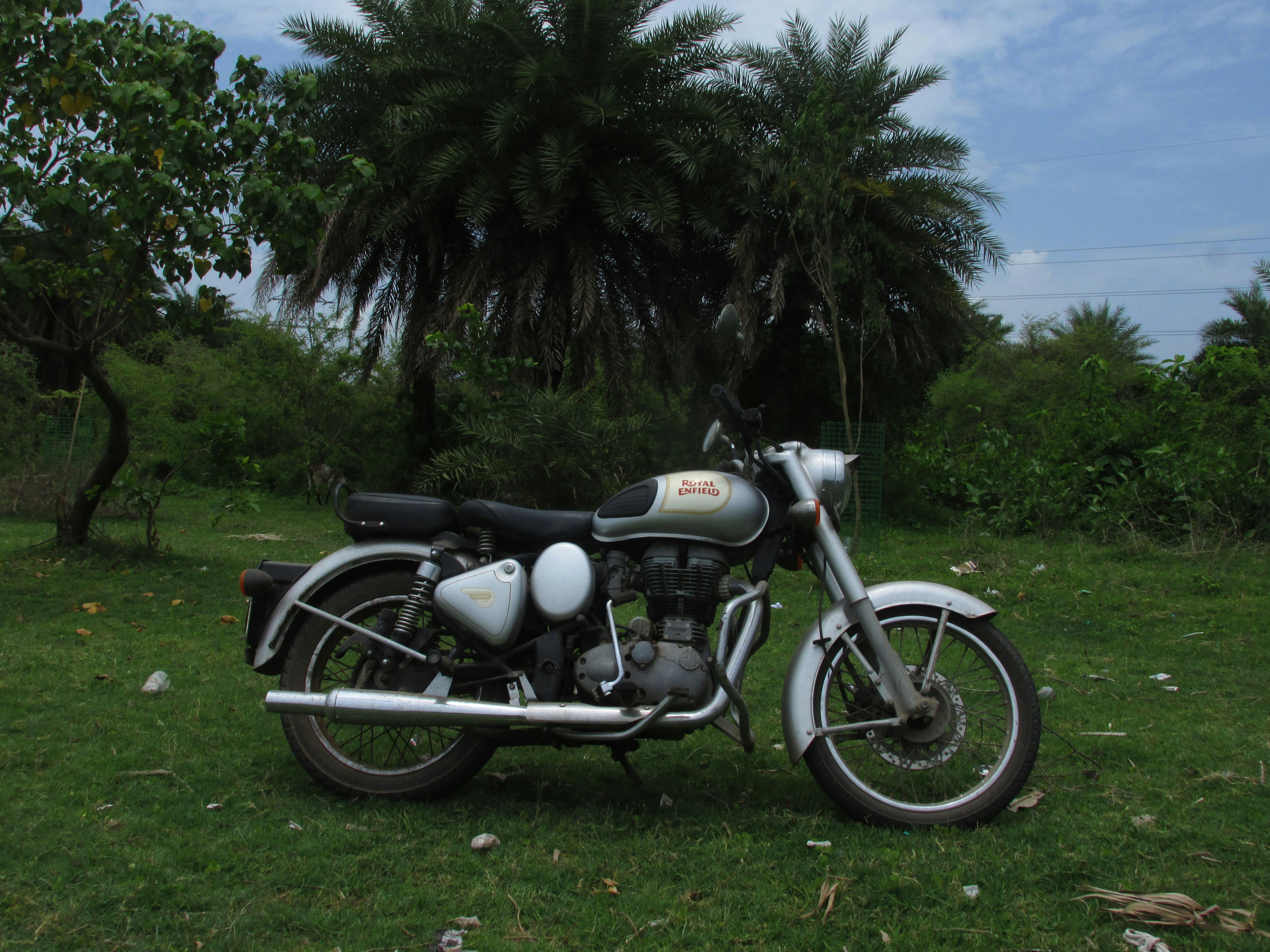 Black and silver cruiser motorcycle on green grass field during daytime ...