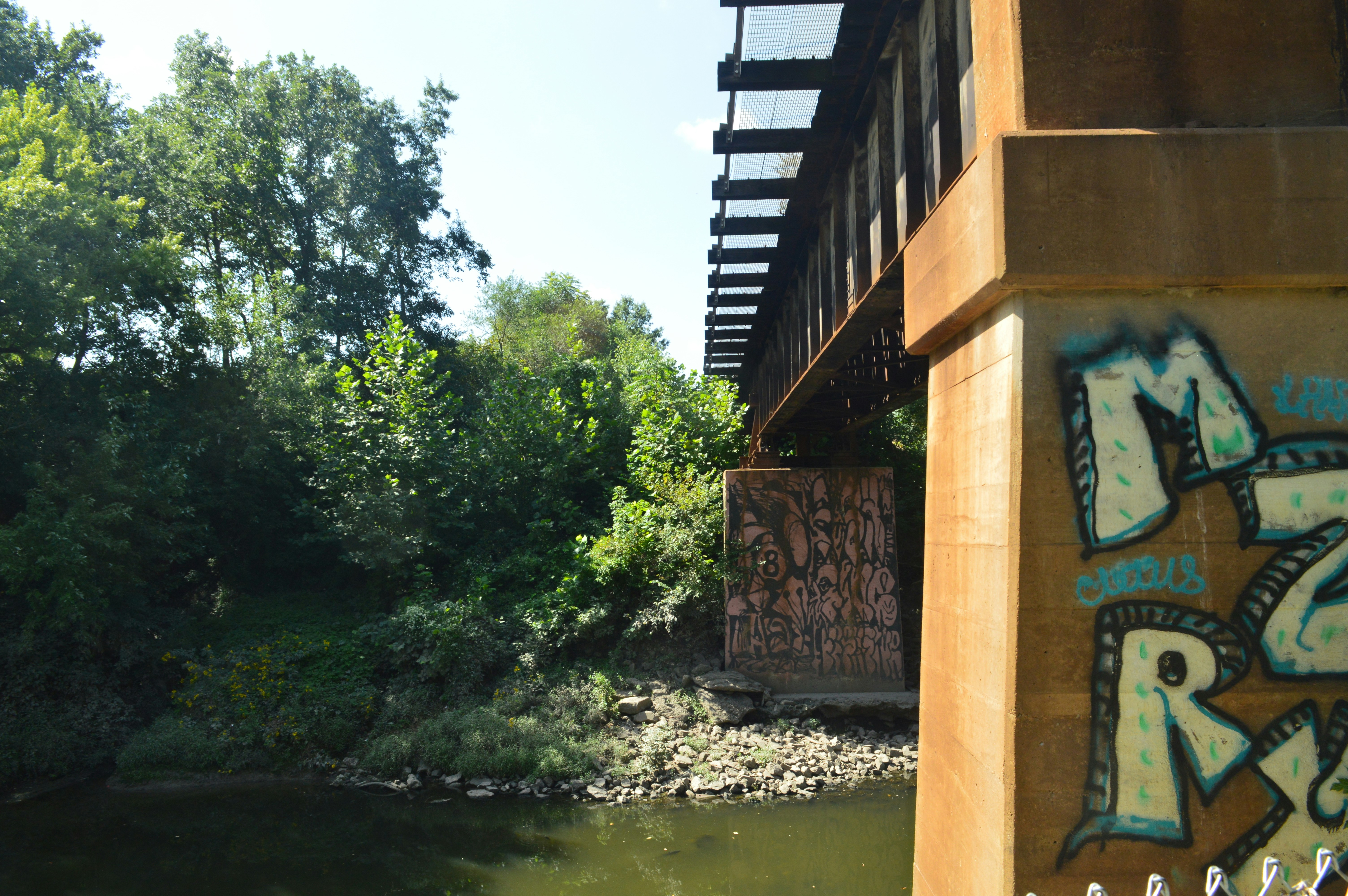 Graffiti-covered bridge supports rise above a lush riverbank, blending urban art with natural greenery.