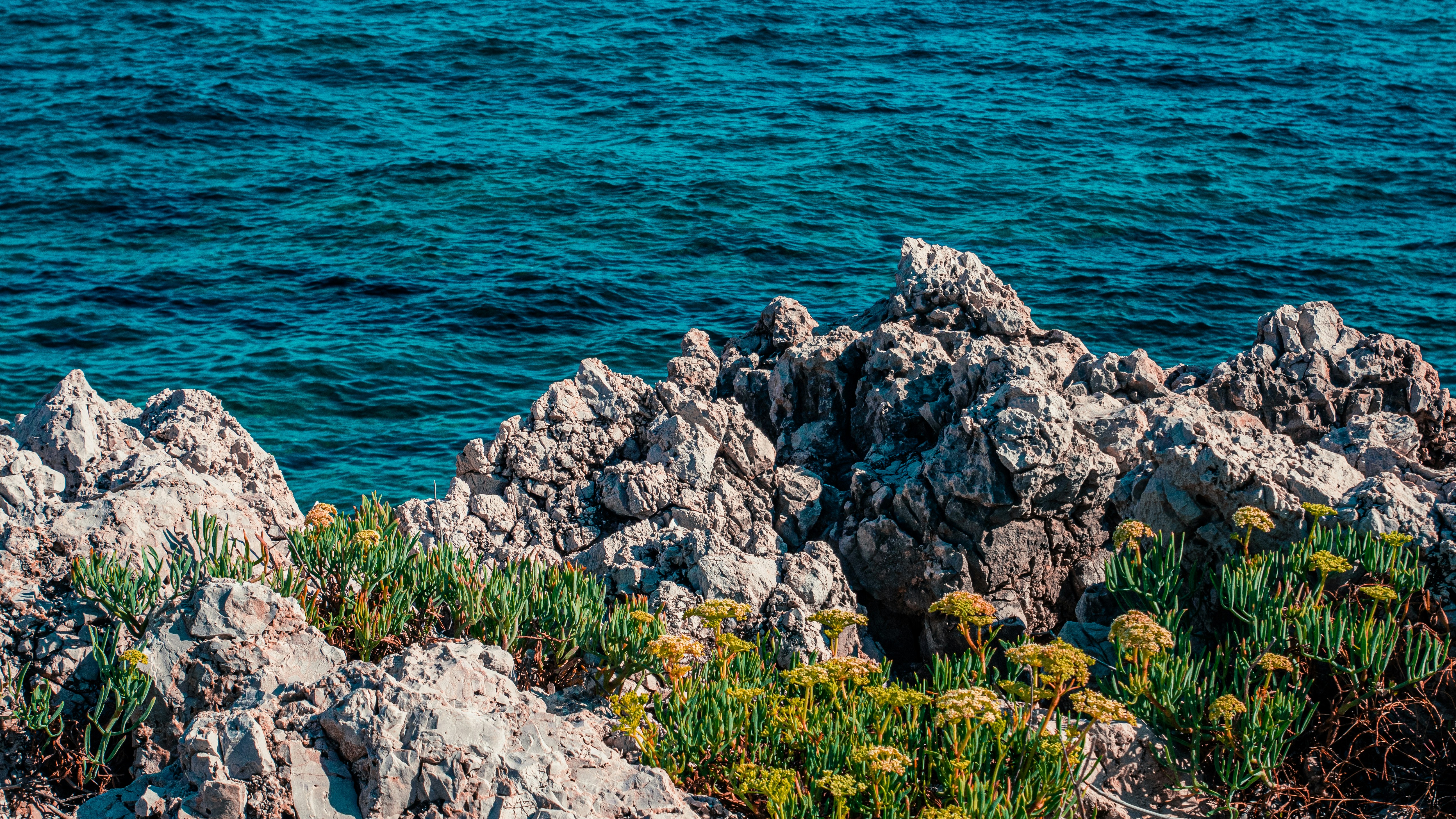 Jagged rocks adorned with green plants against a backdrop of deep blue sea.