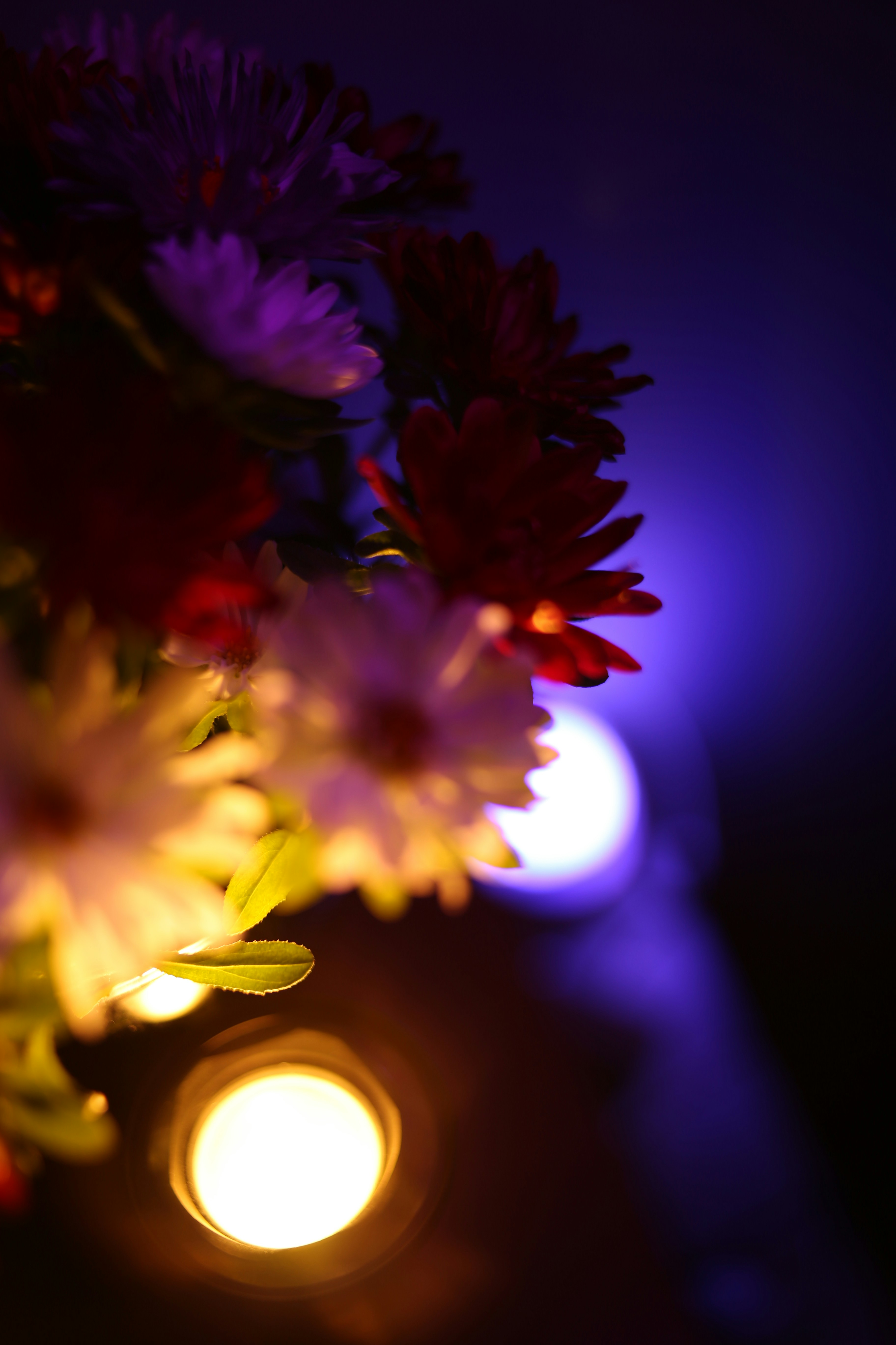 Nocturnal Bouquet: Petals Bathed in Neon Bokeh Orbs