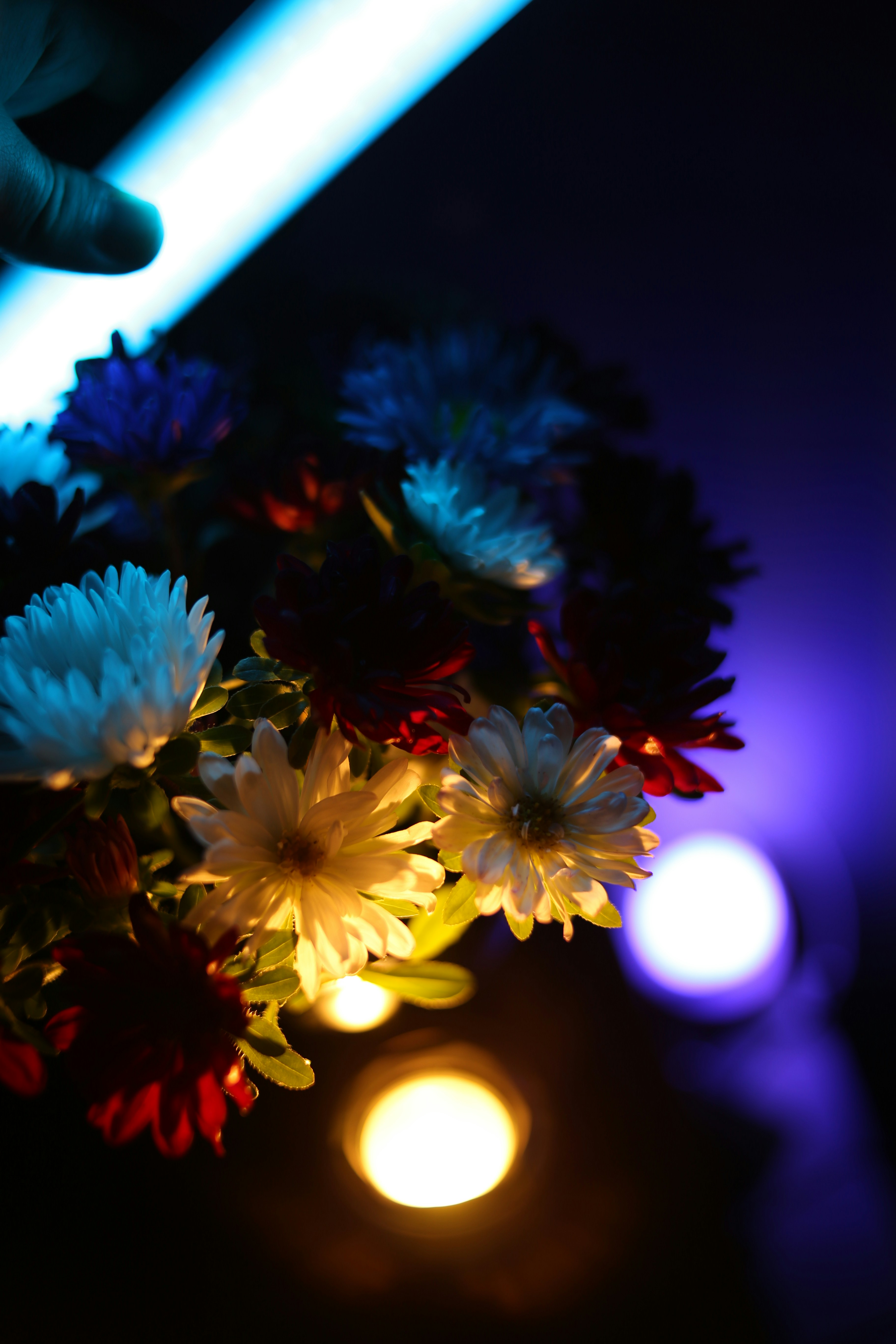 Neon Petals Under a Midnight Glow