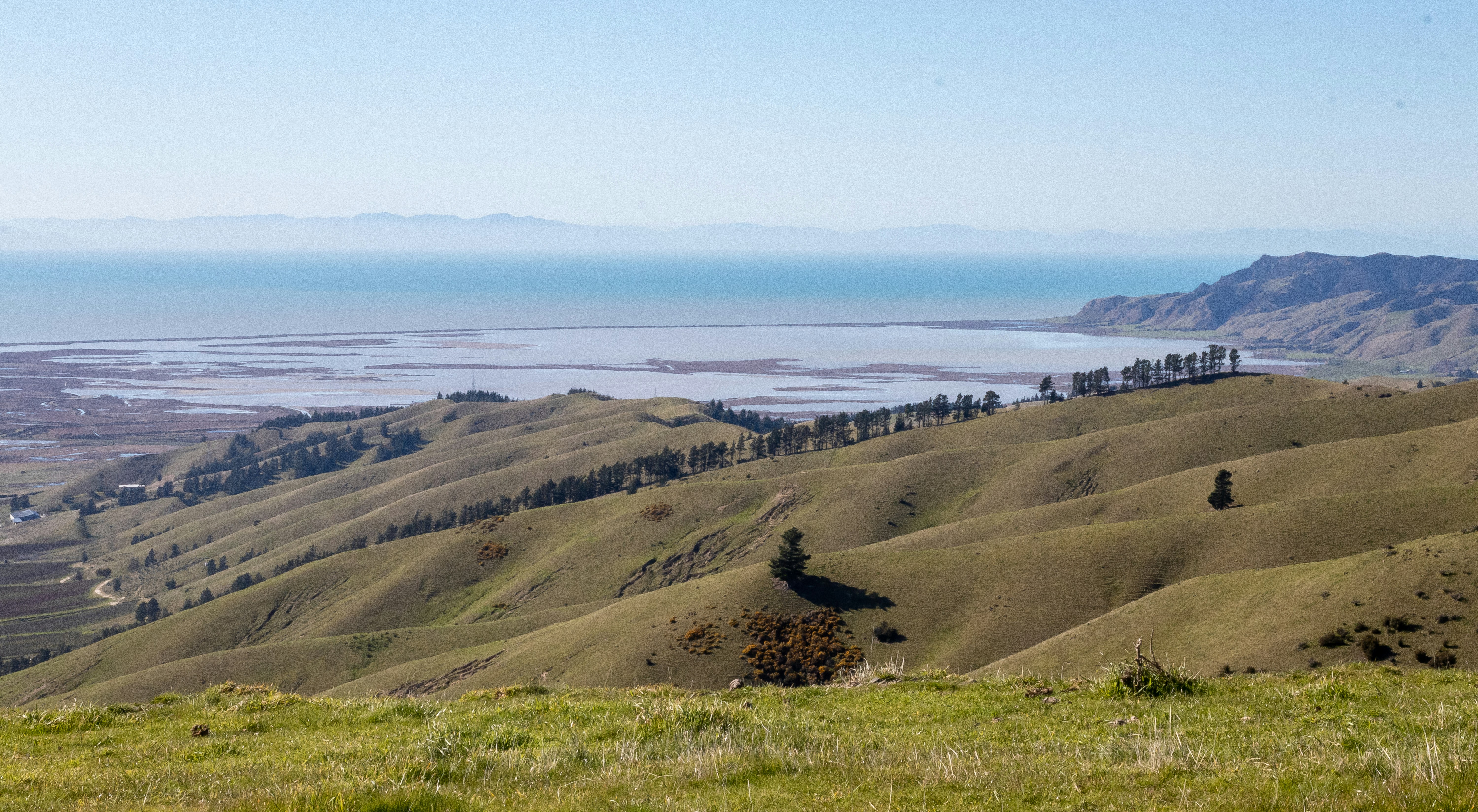 Taken in Blenheim NZ. Views across the Cook Straight of the North Island | green grass field near body of water during daytime