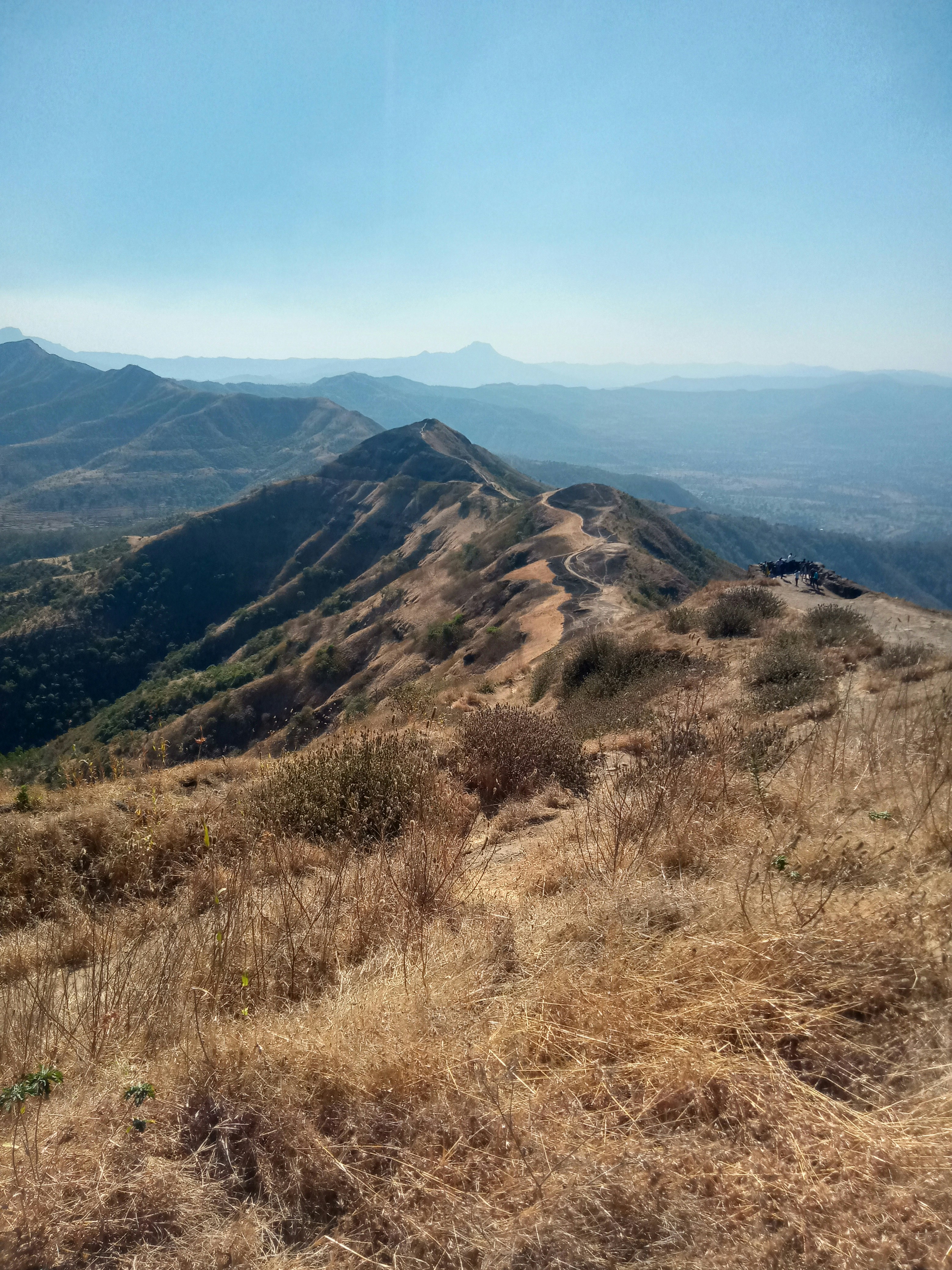 Sunlit Spine: A Quiet Ascent Across Golden Hills