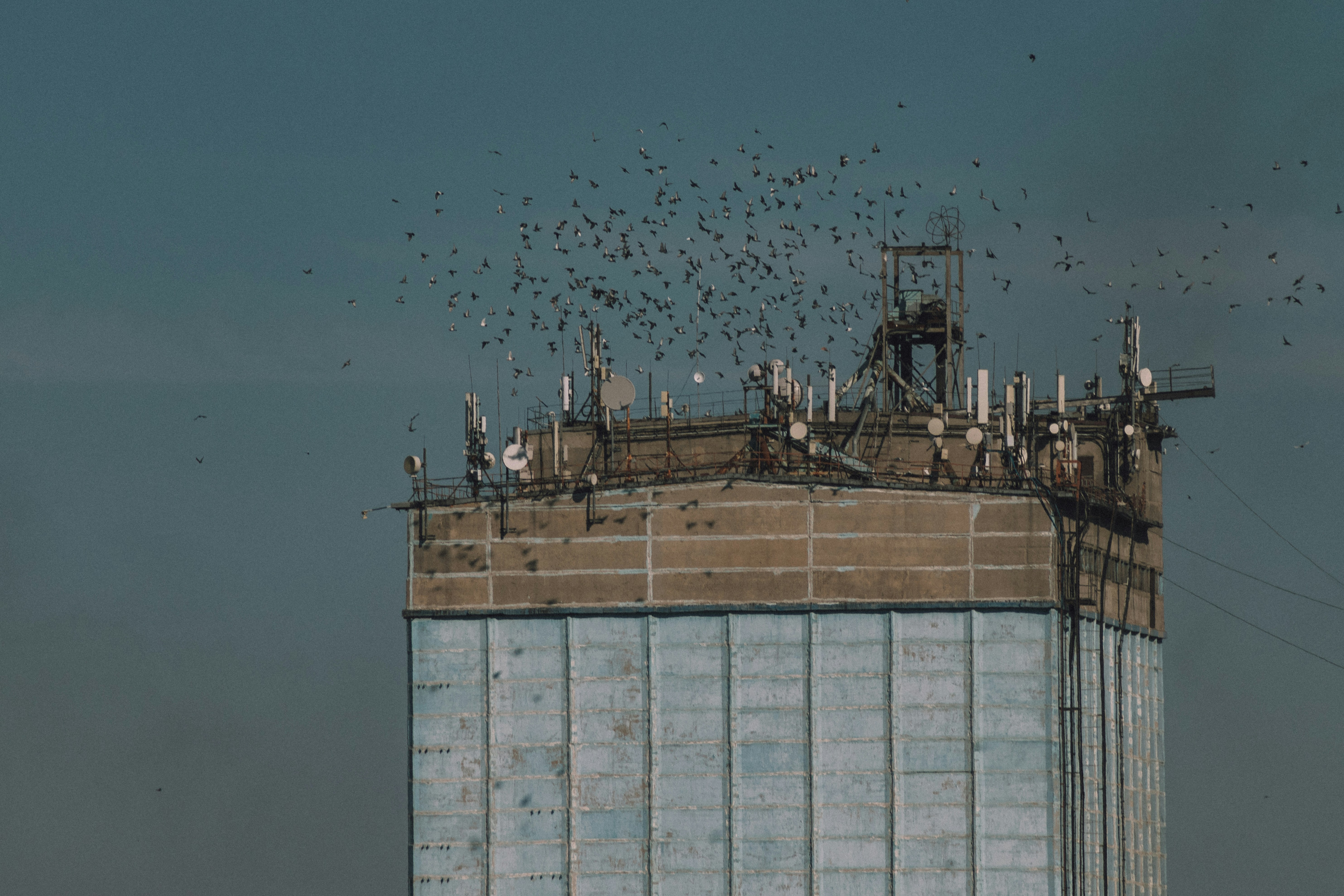 Photo by Nick Sorockin with Canon EOS 200D