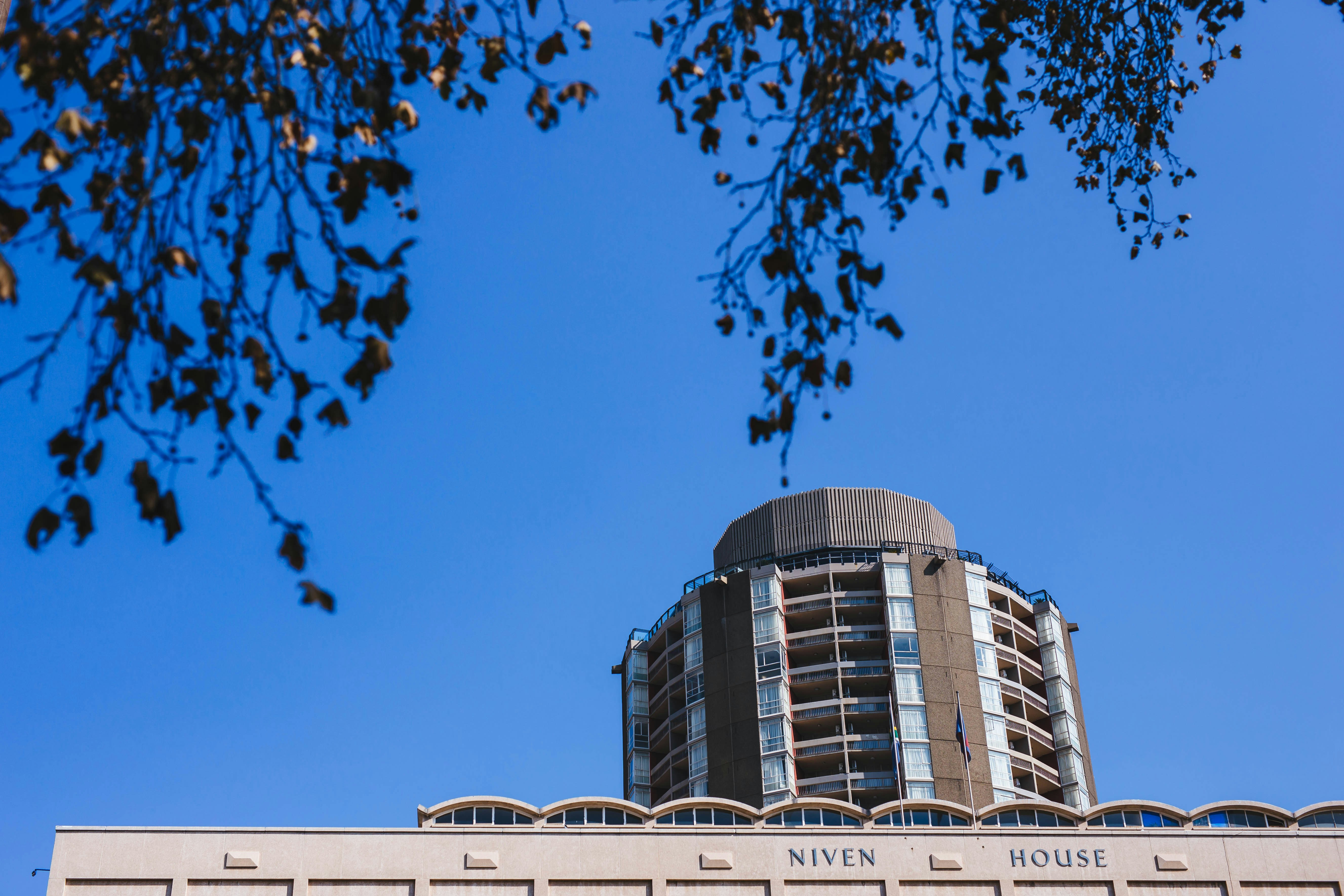 Without Background Pictures | Download Free Images on Unsplash