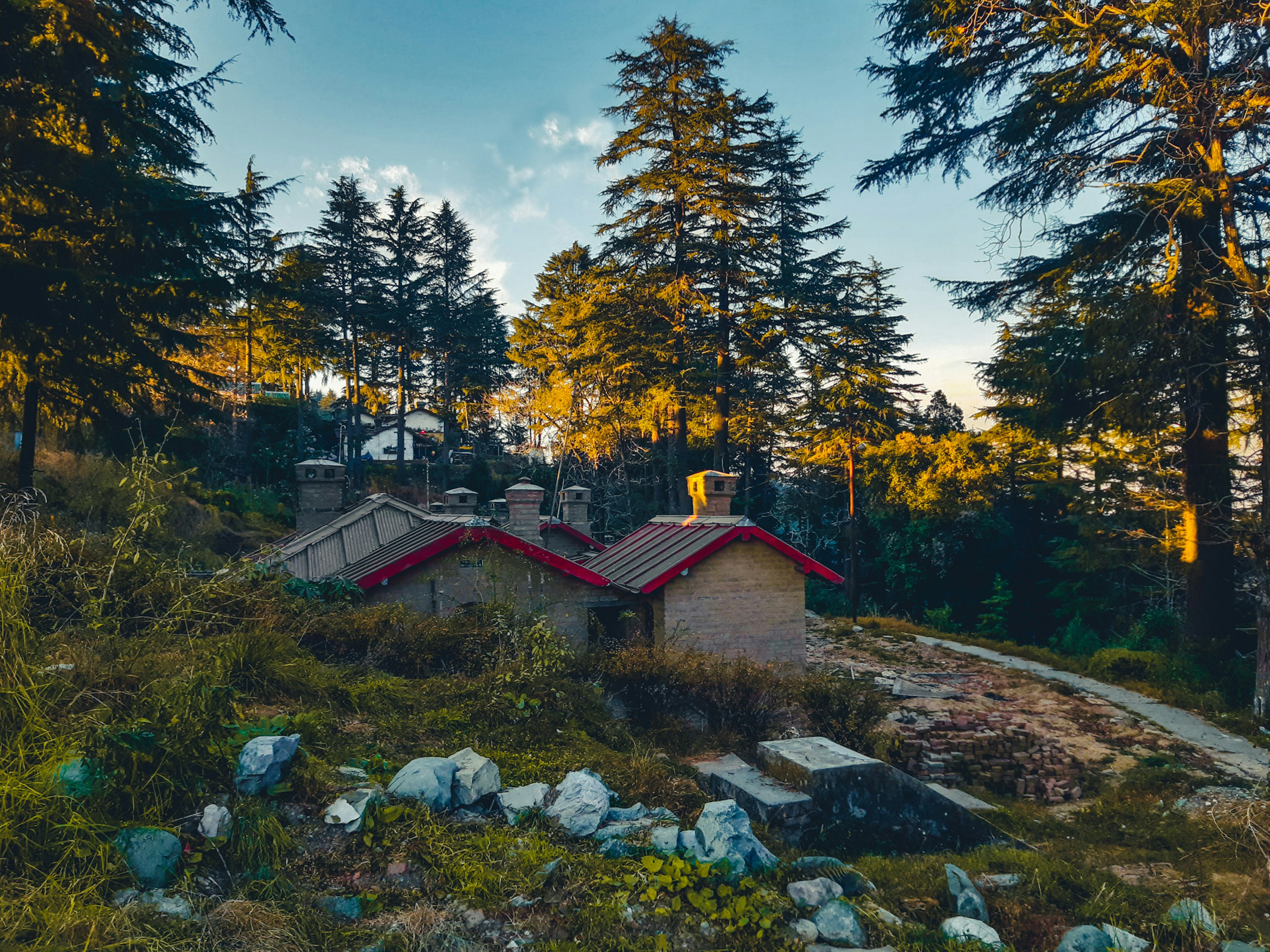 Red-Roofed Cabins Gleam Under Pine Shadows Along a Winding Mountain Path
