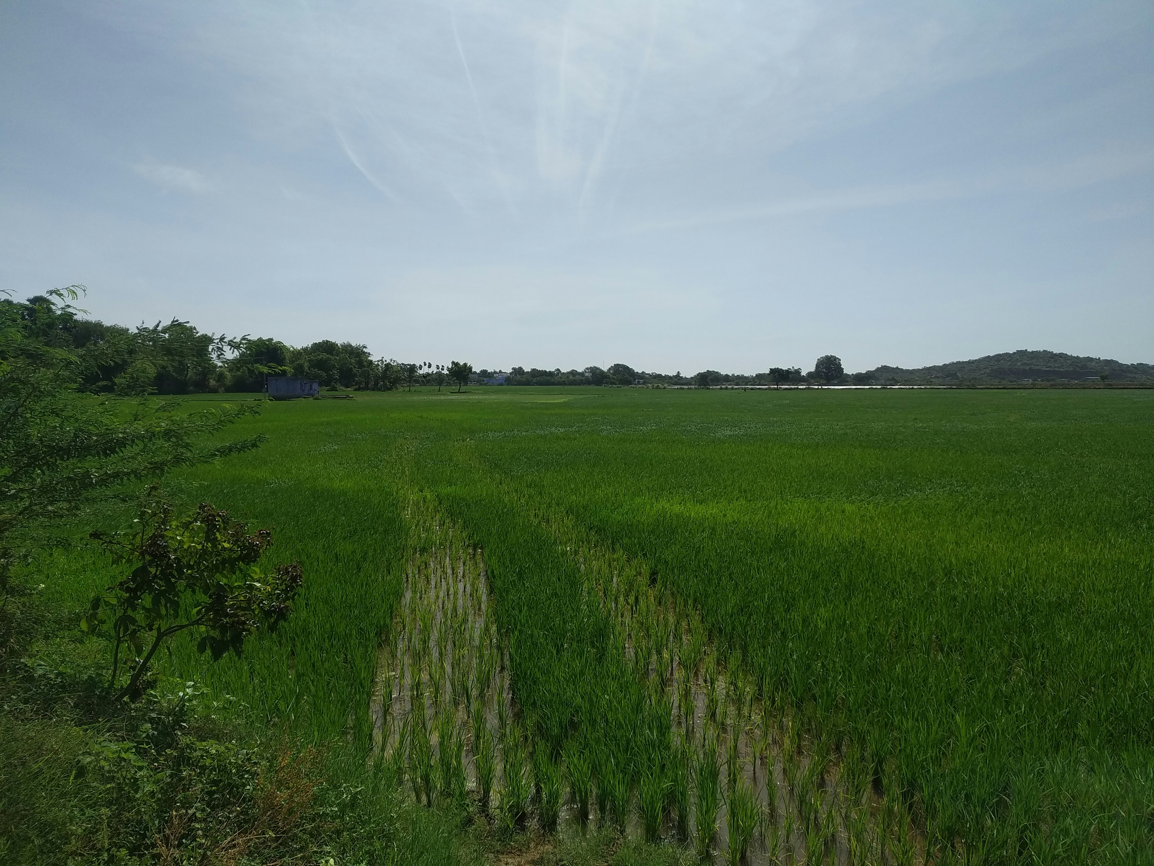 Lush green field stretching towards distant hills beneath a cloudy sky.