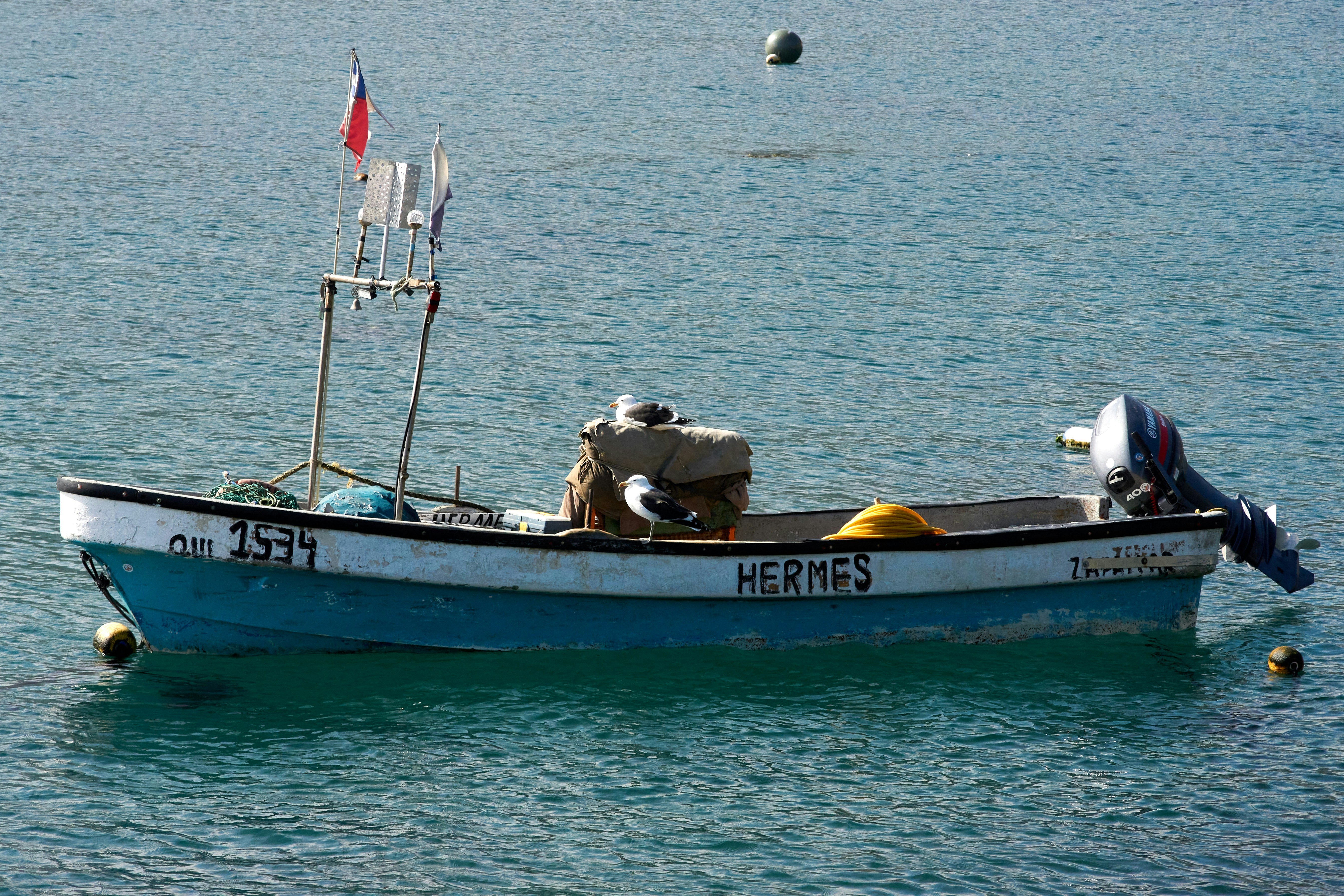 Fishing boat named 'HERMES' anchored in calm waters, adorned with a flag and fishing gear. A serene scene reflecting maritime life.