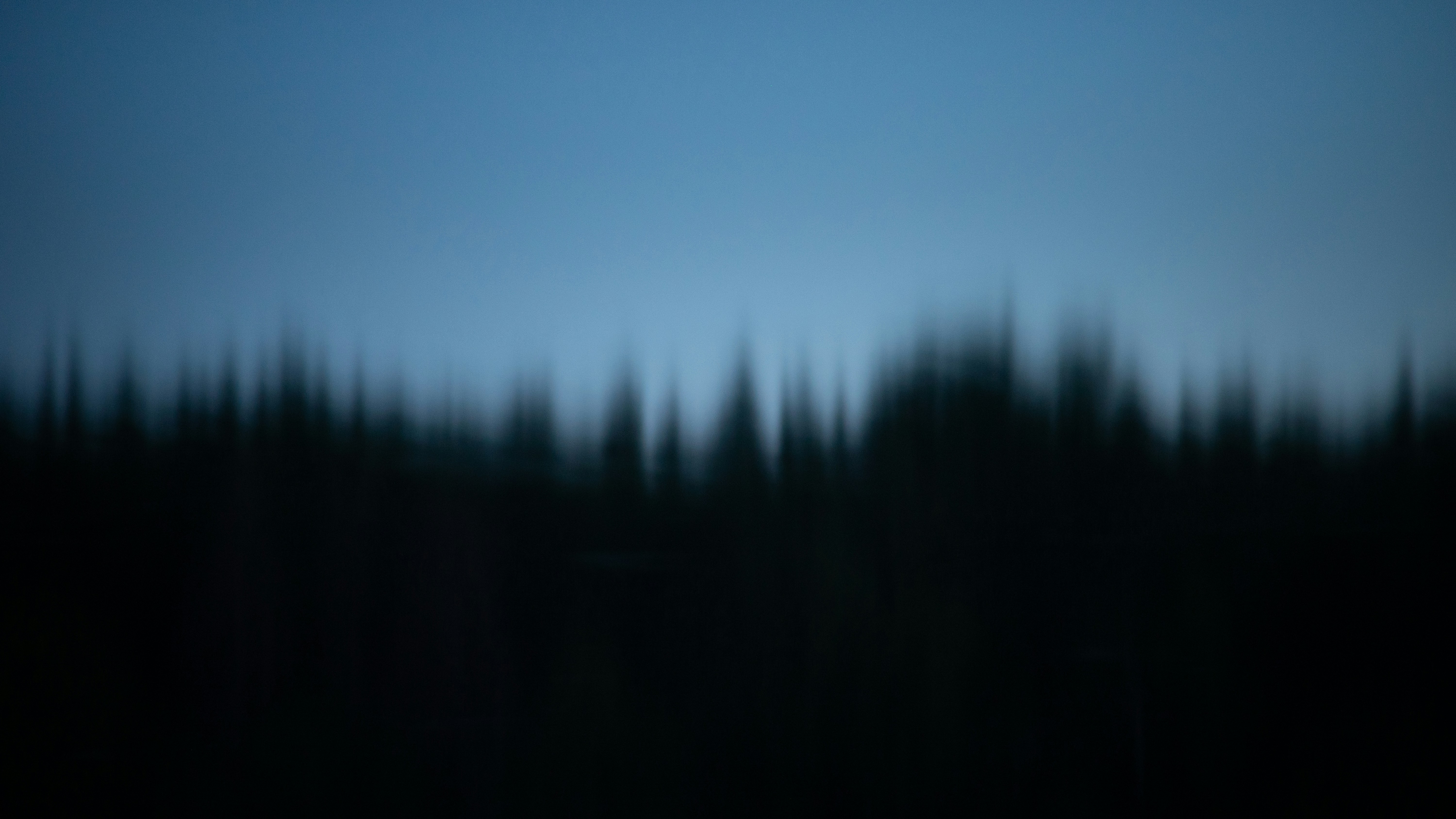 Cobalt Dusk: Pines Quietly Framing the Horizon